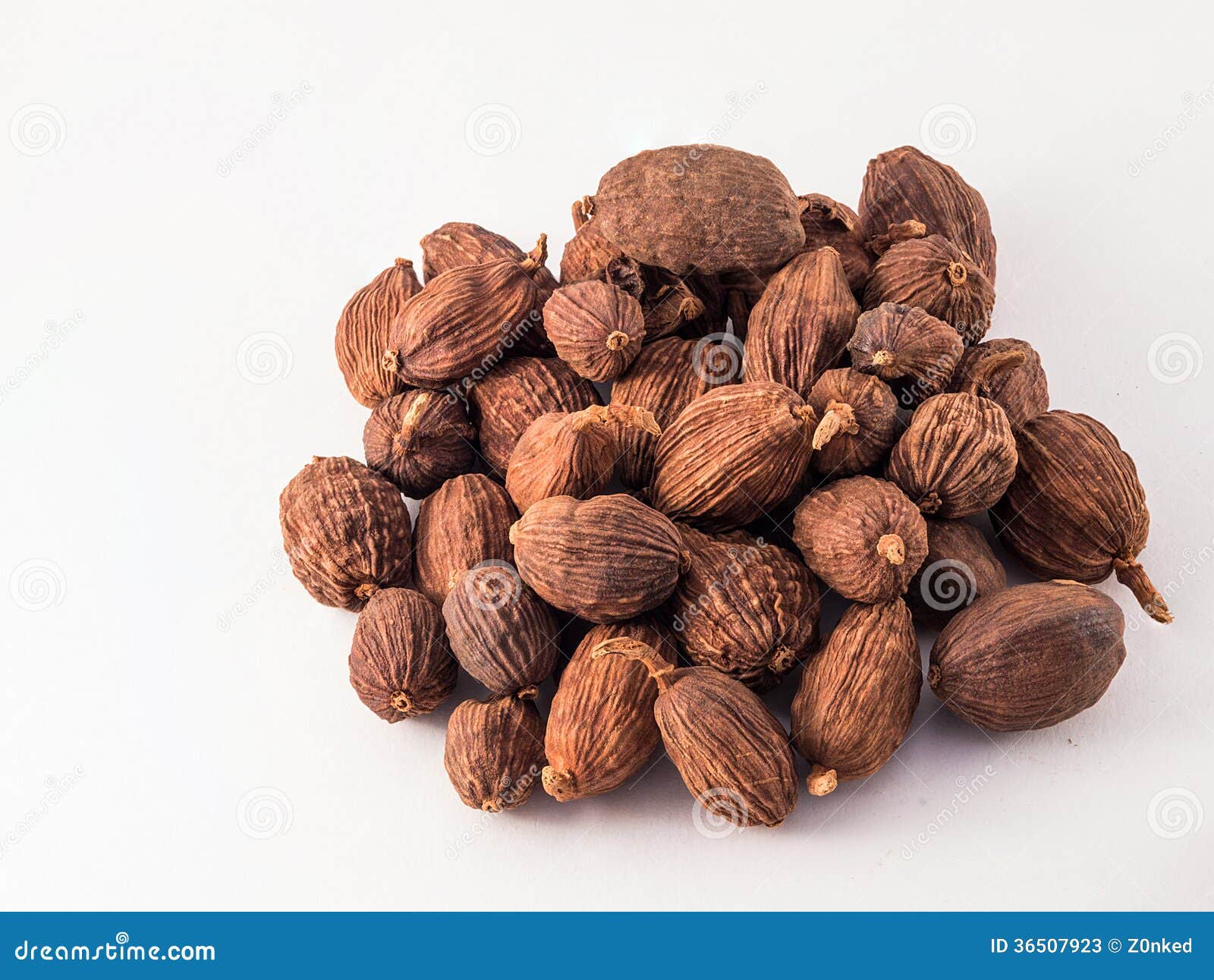 Nuez moscada moscada imagen de archivo. Imagen de especia - 36507923