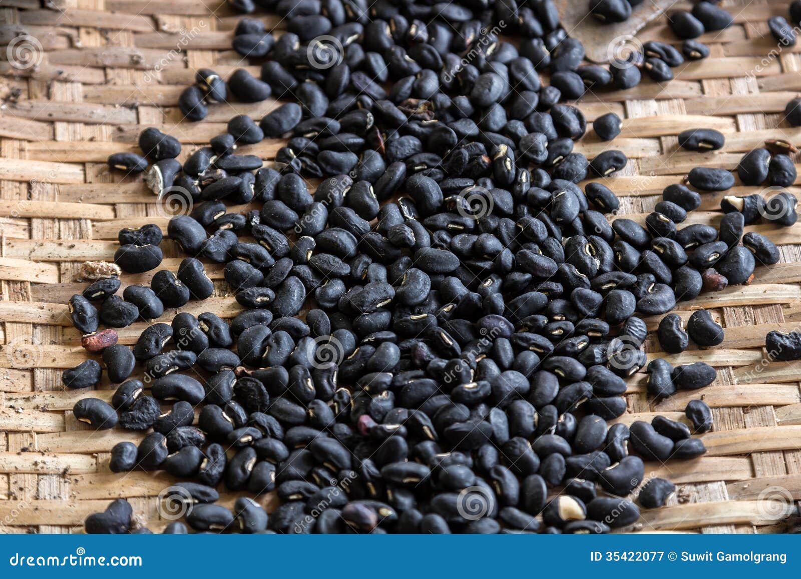 Nuez negra imagen de archivo. Imagen de aptitud, blanco - 35422077