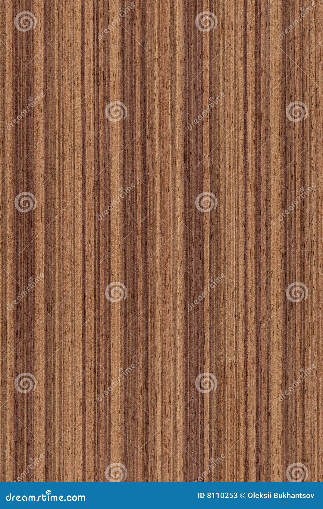 Nuez (textura de madera) imagen de archivo. Imagen de fondo - 8110253