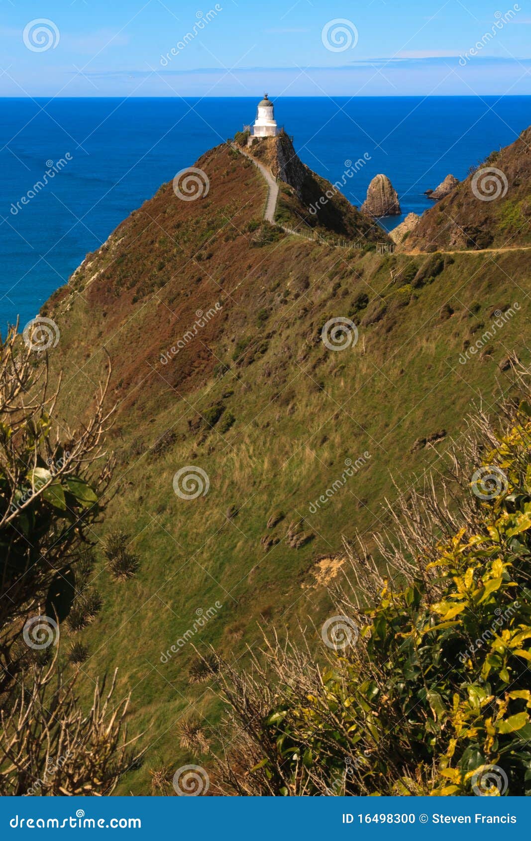 Nugget Point lighthouse stock photo. Image of point, light - 16498300