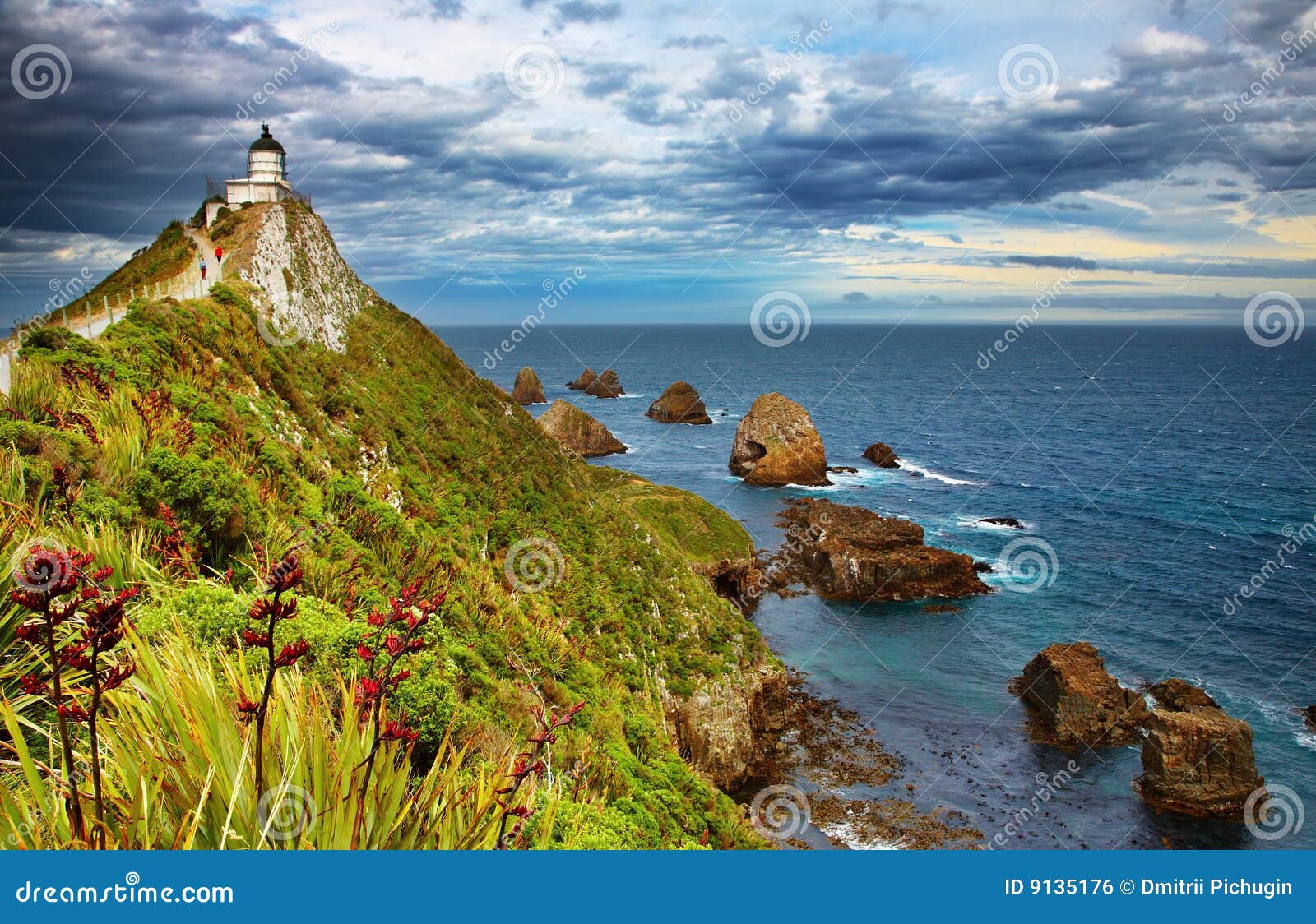 Nugget Point Lighthouse, New Zealand Stock Photo - Image of littoral ...