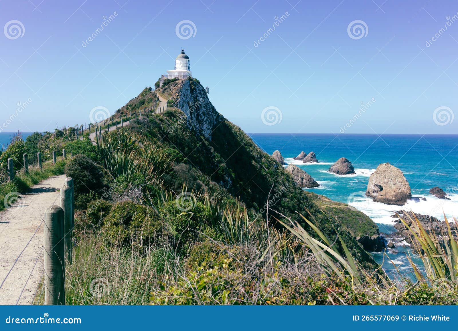Nugget Point Lighthouse, from the Trail, Catlins, New Zealand Stock ...