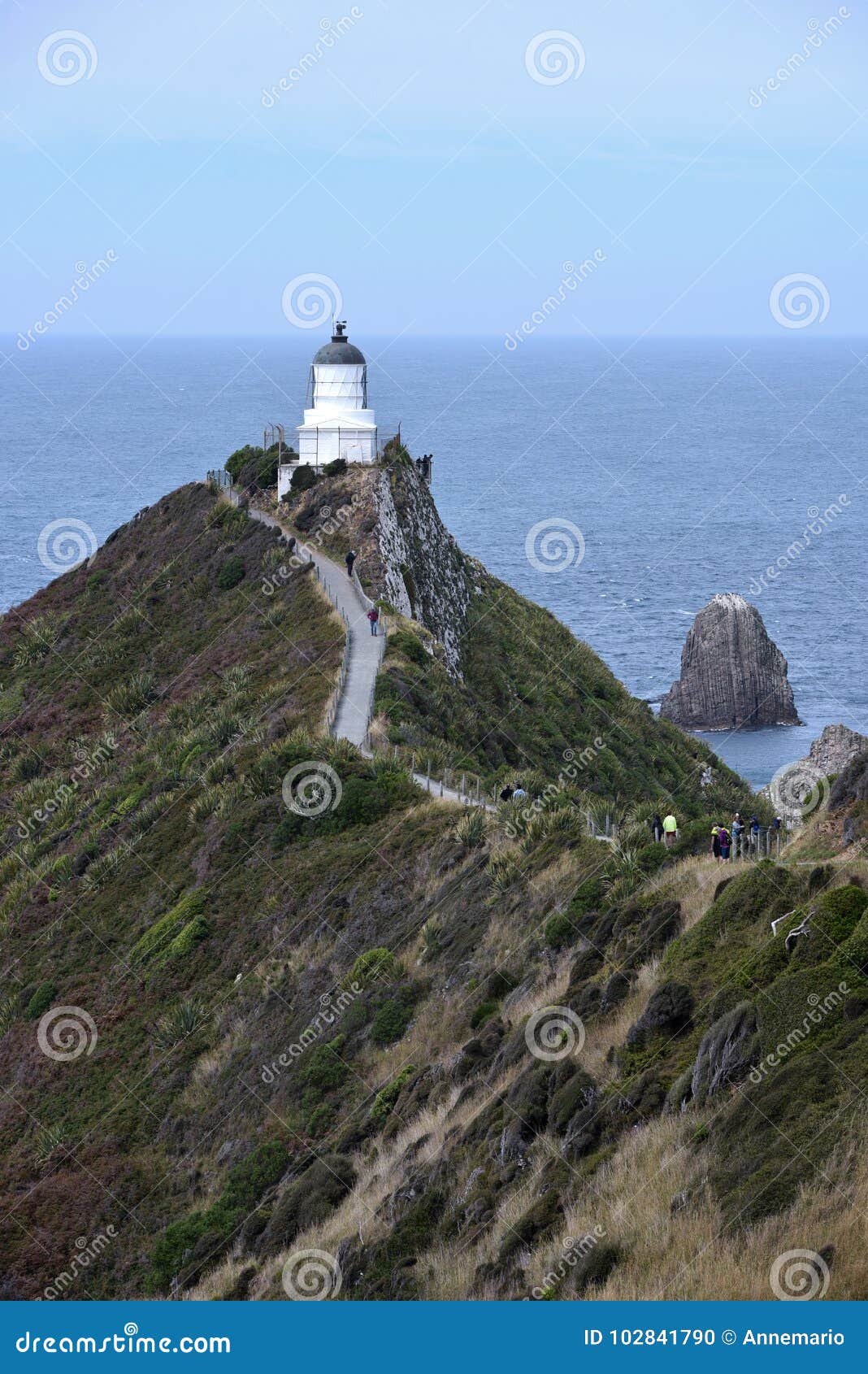 Nugget Point Lighthouse, New Zealand Editorial Image | CartoonDealer ...
