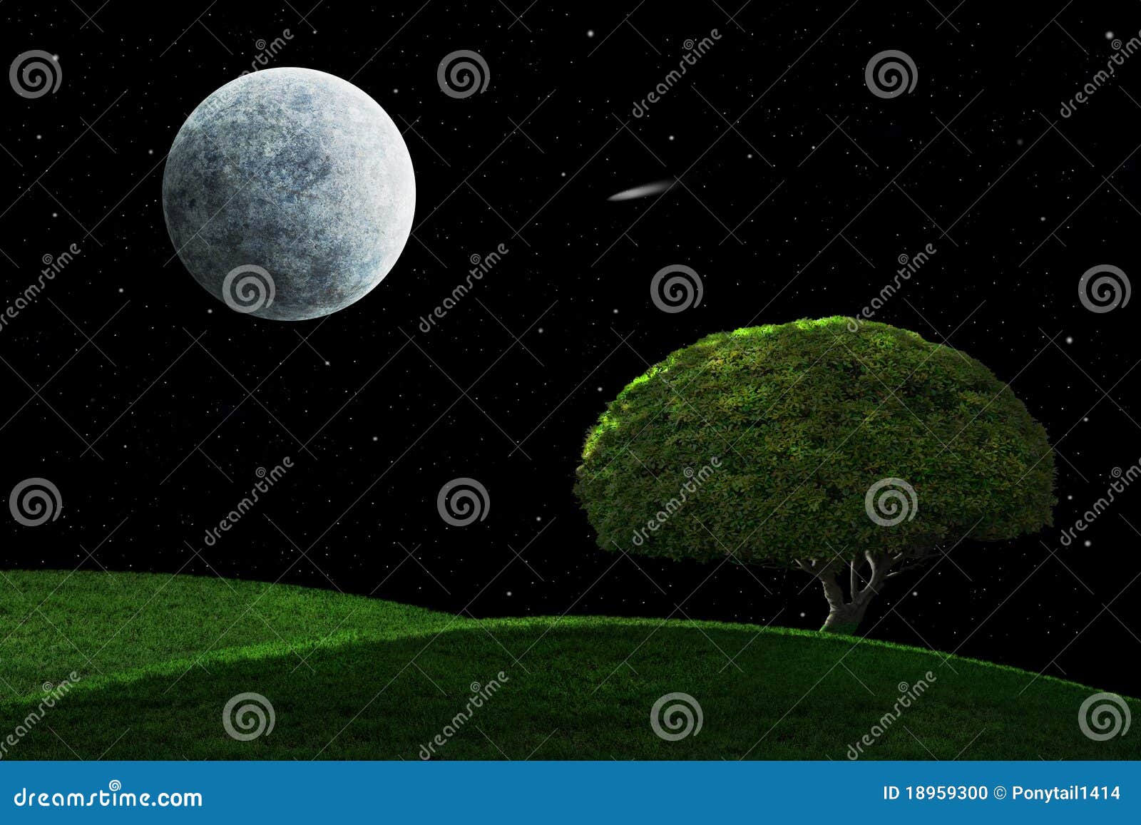 Nuit De Clair De Lune Avec L'arbre Solitaire Photo stock - Image du ...
