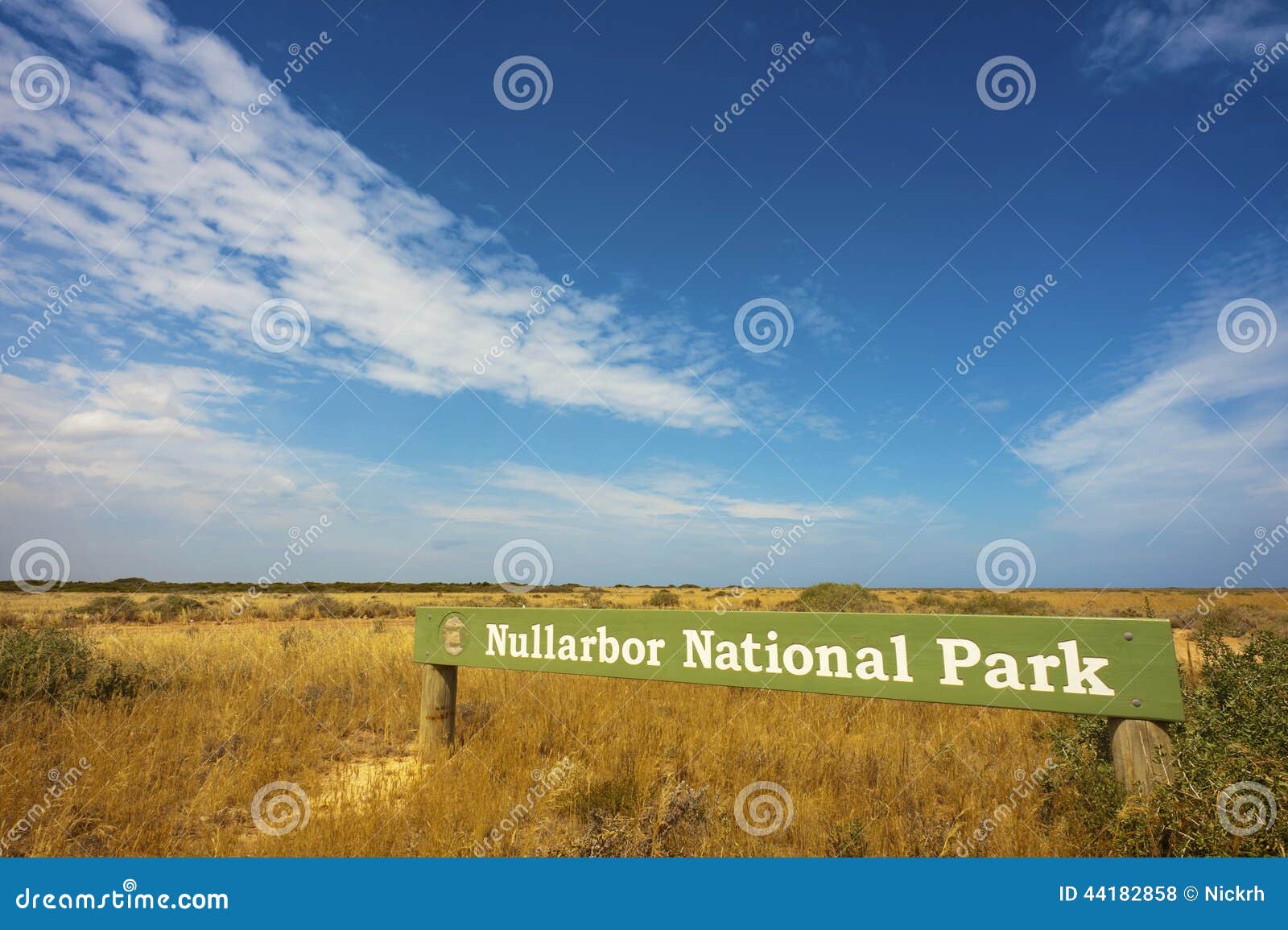 Nullarbor National Park editorial stock photo. Image of savannah - 44182858