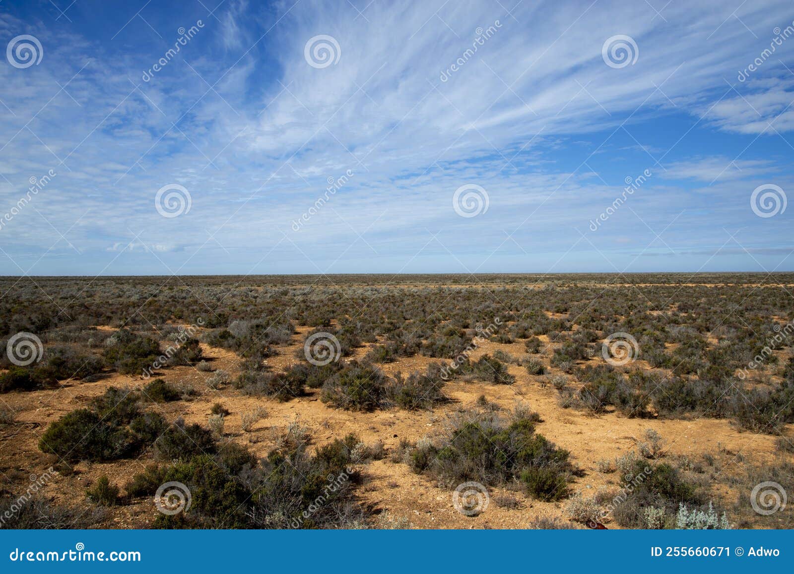 Nullarbor Plain stock image. Image of south, sand, shrub - 255660671