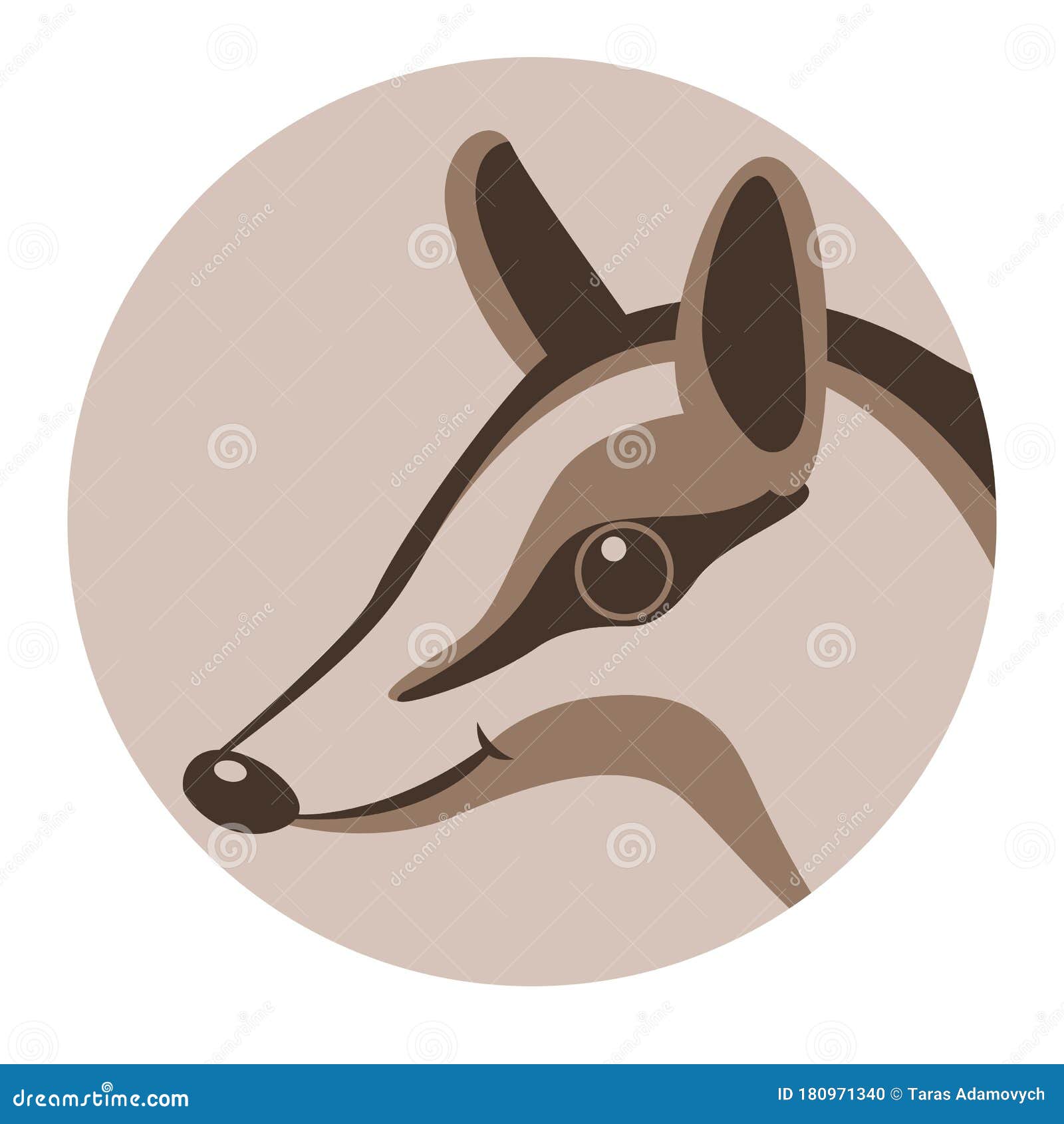 Numbat Face , Vector Illustration, Flat Style Stock Vector ...