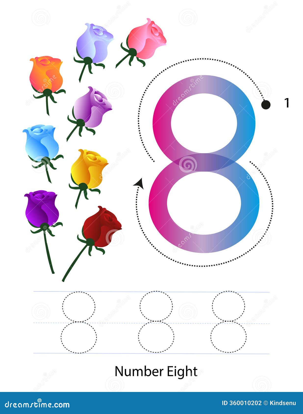 Number 8 Tracing and Counting Worksheet Stock Illustration ...