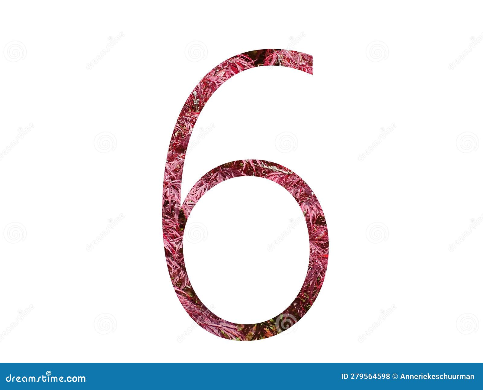 Number 6 of the Alphabet Made with Red Leaves of a Tree Stock Photo ...