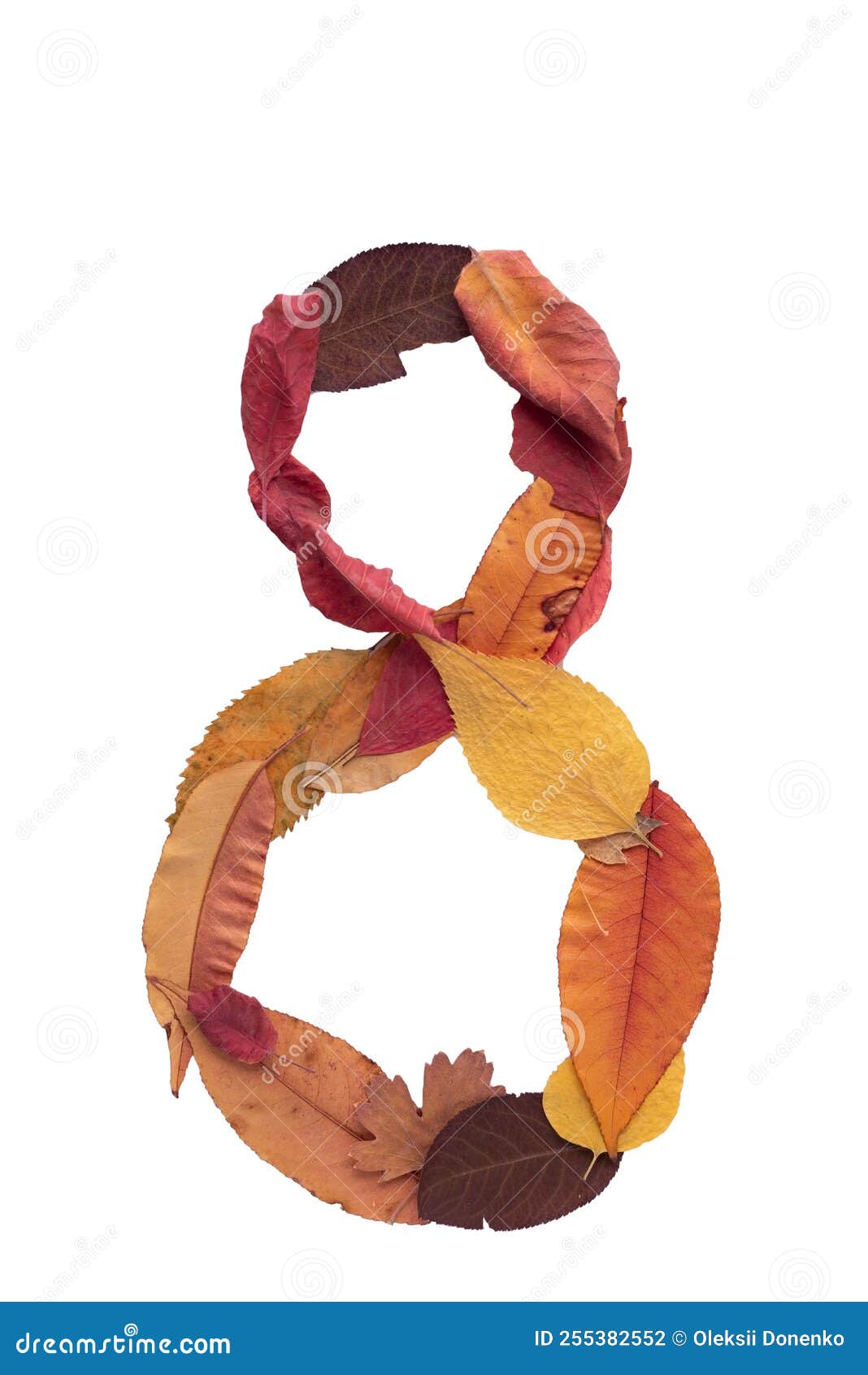 Number 8 Autumn Leaves Isolate on White Background Stock Photo - Image ...