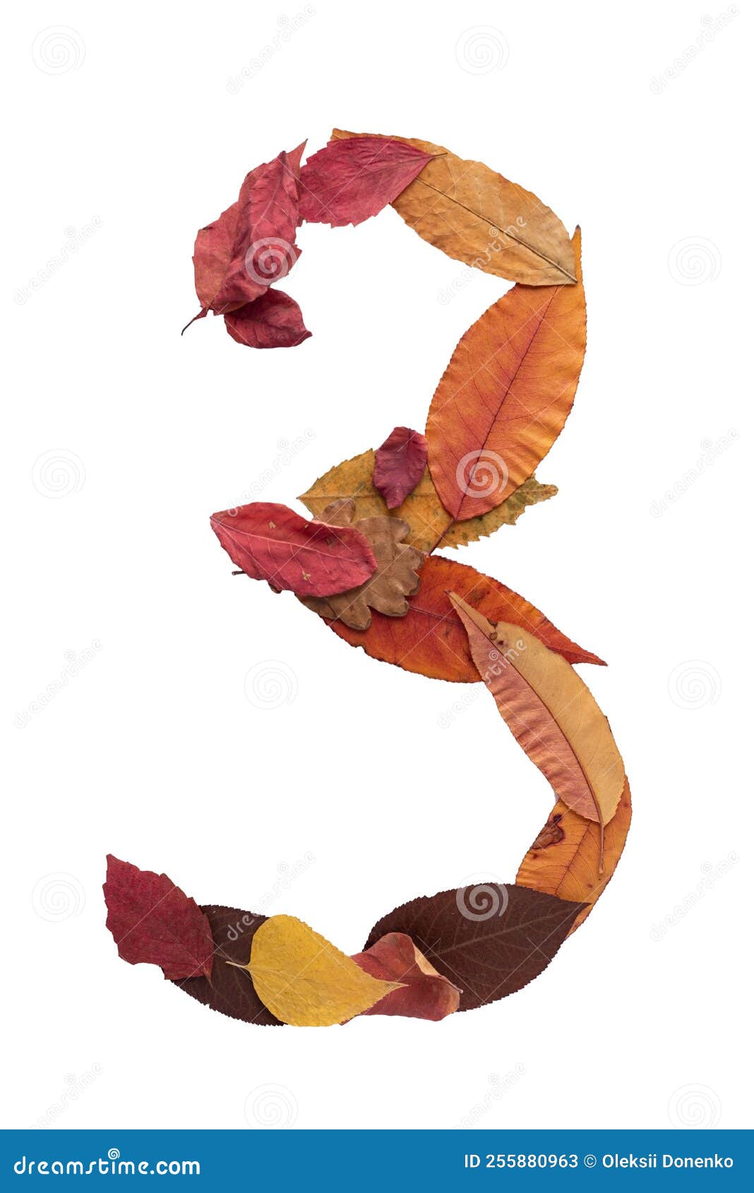 Number 3 Autumn Leaves Isolate on White Background Stock Image - Image ...