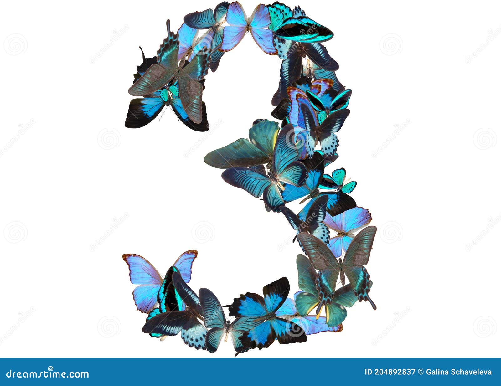 Number of blue butterfly stock illustration. Illustration of cascade ...