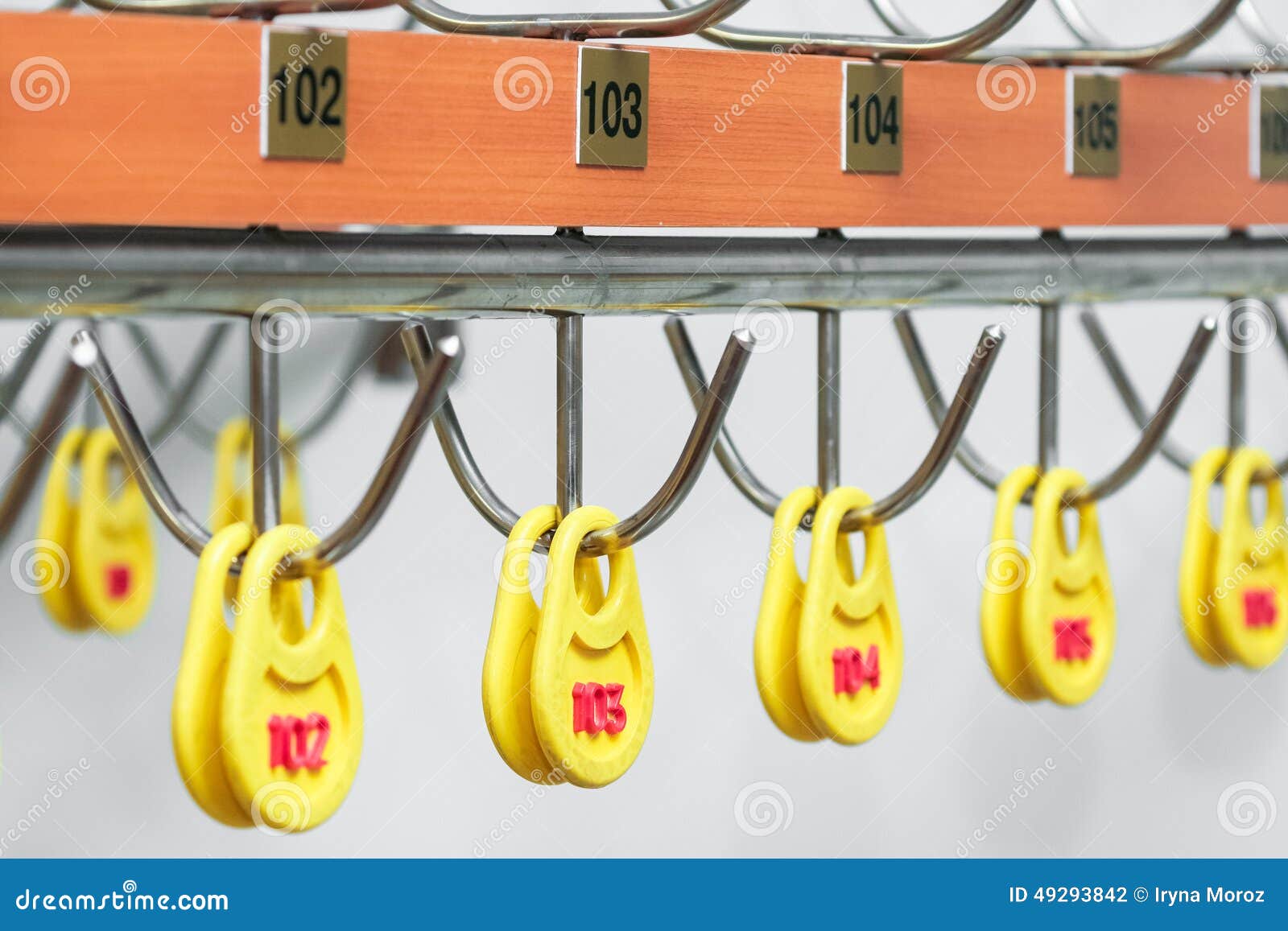 Number checkroom. stock photo. Image of hanger, concepts - 49293842