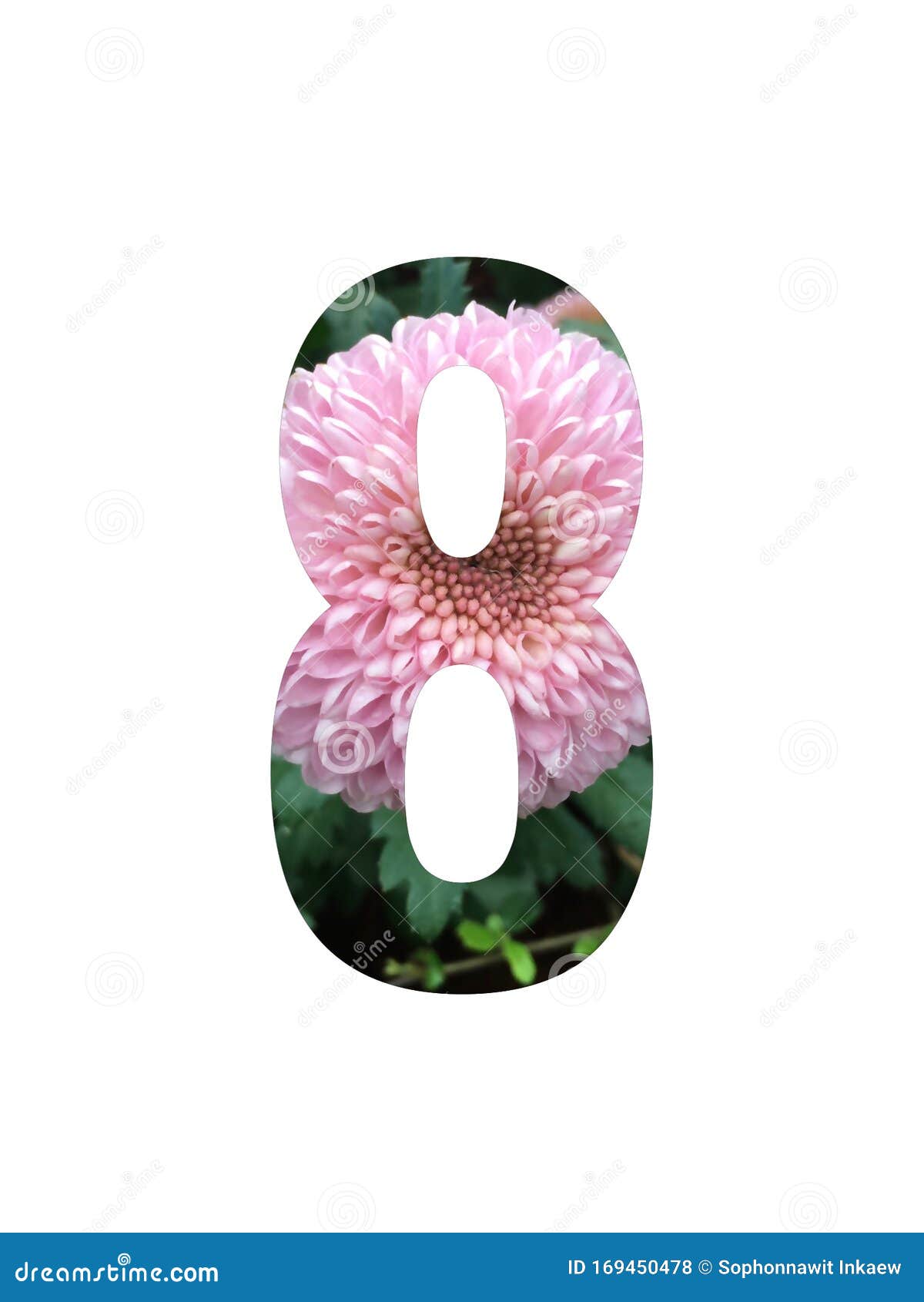 Word Card Number 8 stock photo. Image of concept, graphic - 169450478