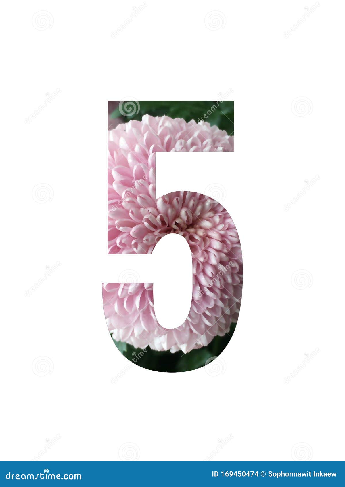 Word Card Number 5 stock photo. Image of isolated, nine - 169450474