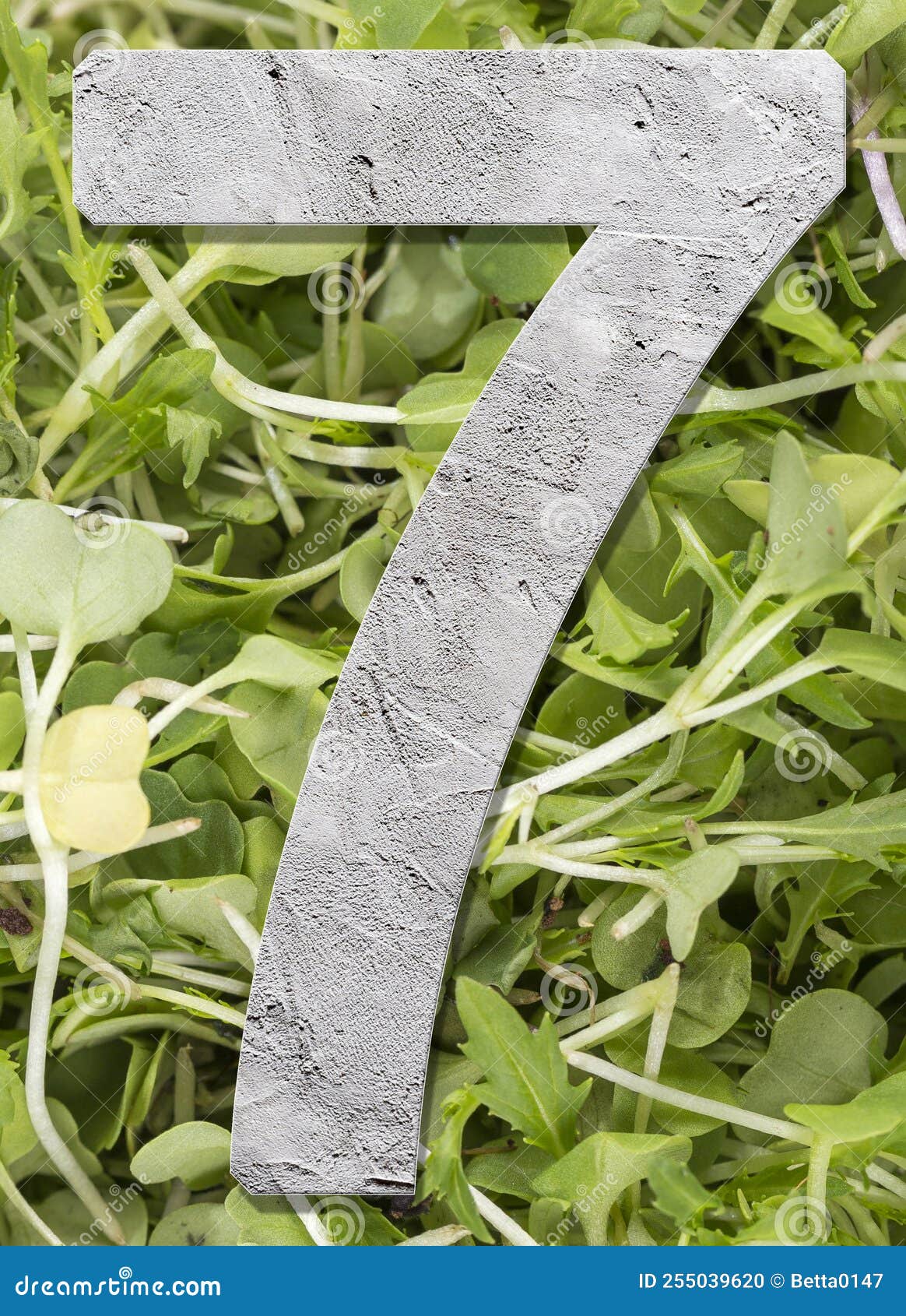 Number 7 with Concrete Texture, on Nature Background Stock Photo ...