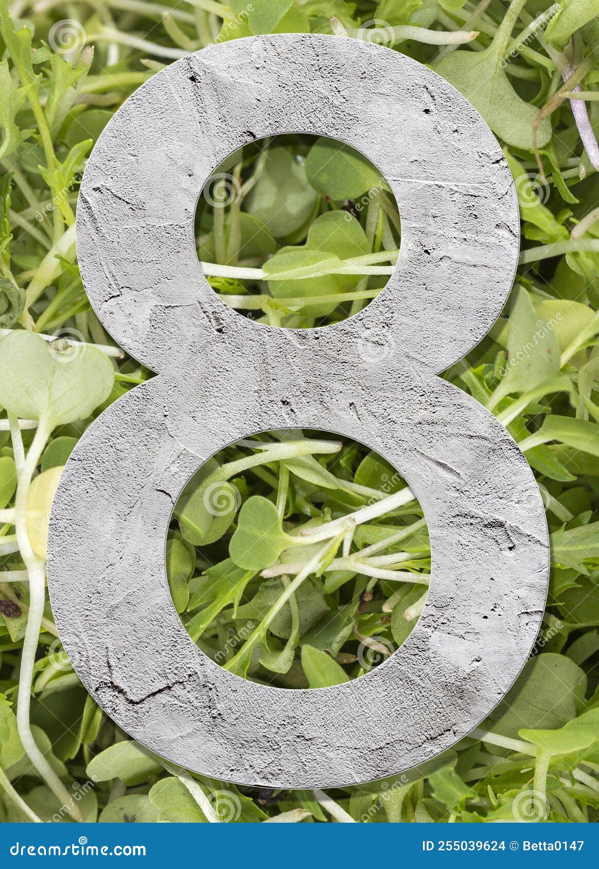 Number 8 with Concrete Texture, on Nature Background Stock Photo ...