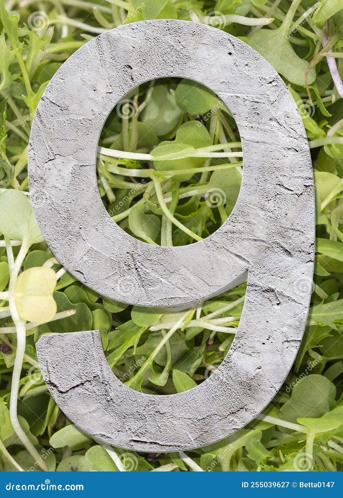 Number 9 with Concrete Texture, on Nature Background Stock Image ...