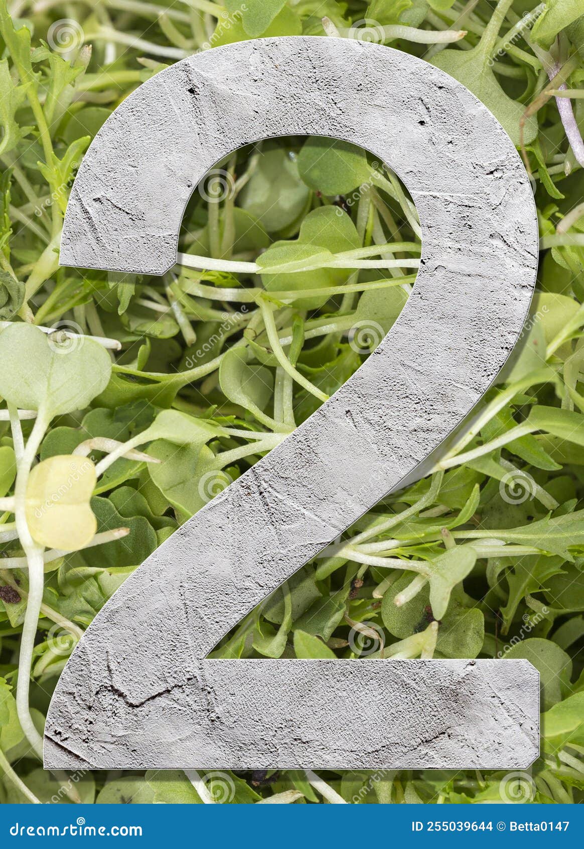 Number 2 with Concrete Texture, on Nature Background Stock Photo ...