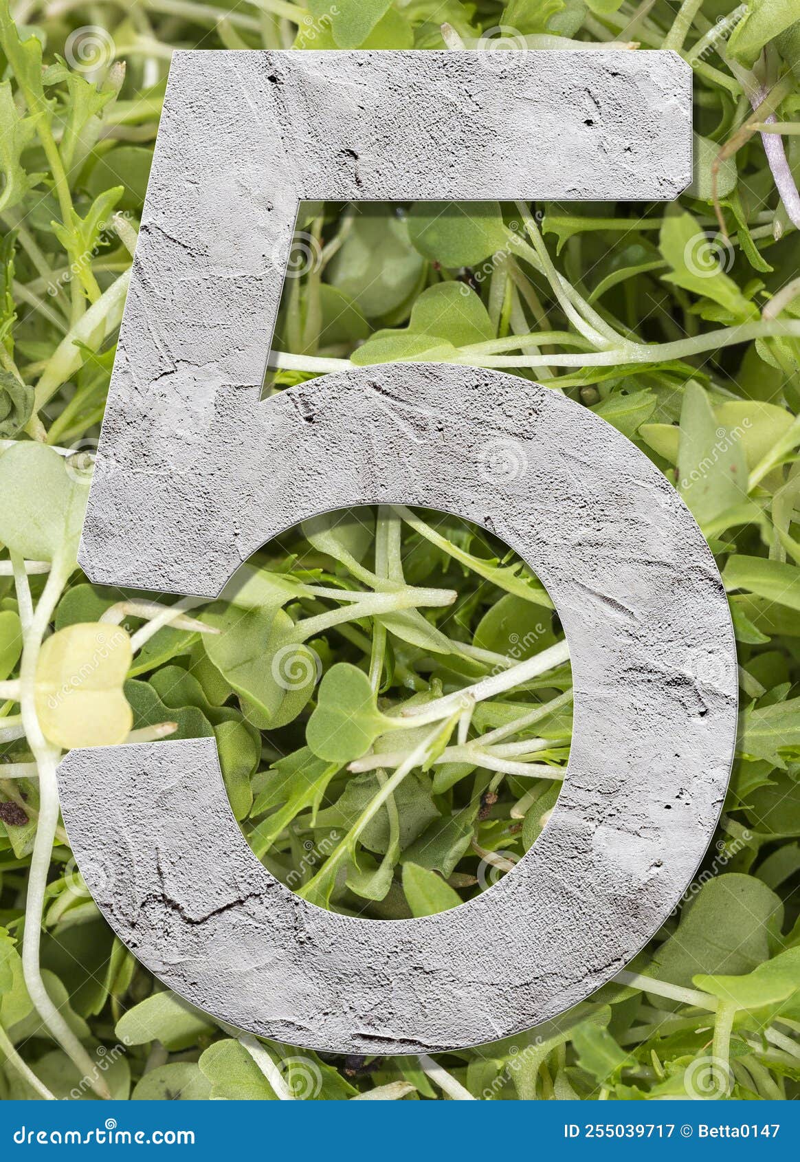 Number 5 with Concrete Texture, on Nature Background Stock Image ...