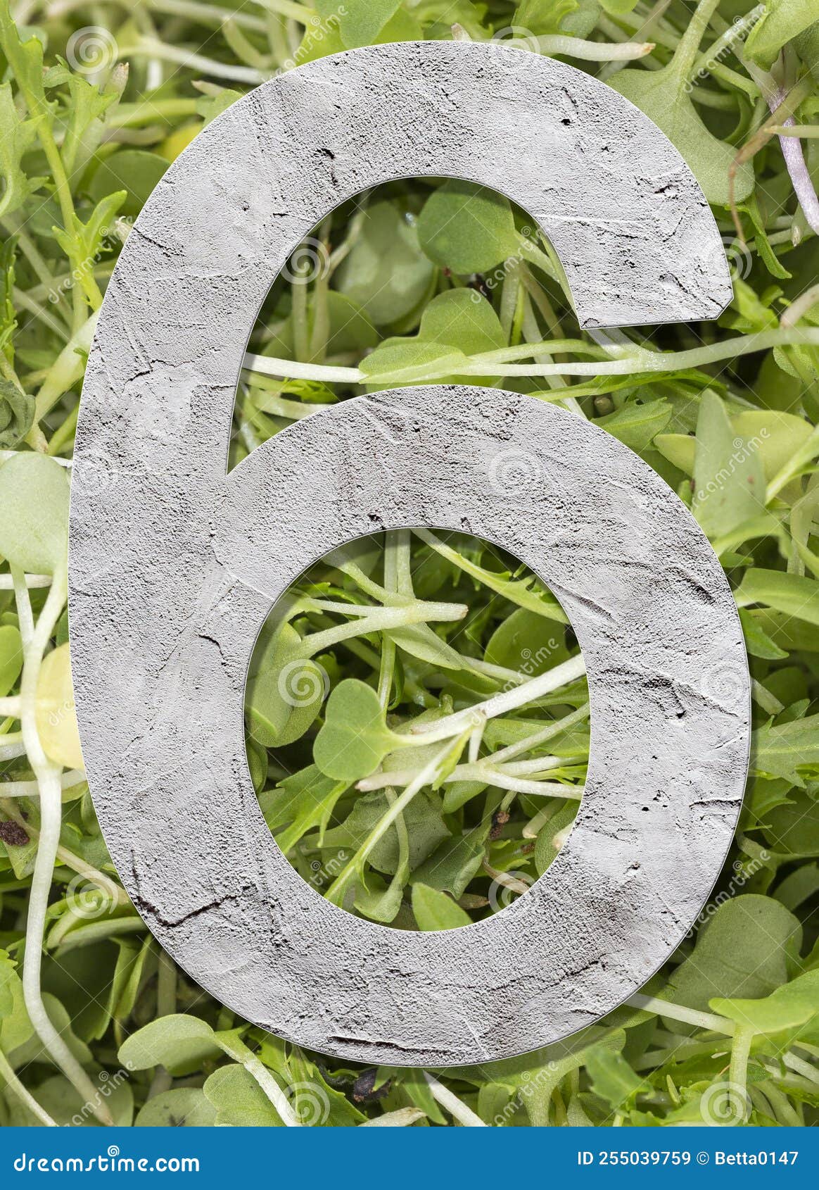 Number 6 with Concrete Texture, on Nature Background Stock Image ...