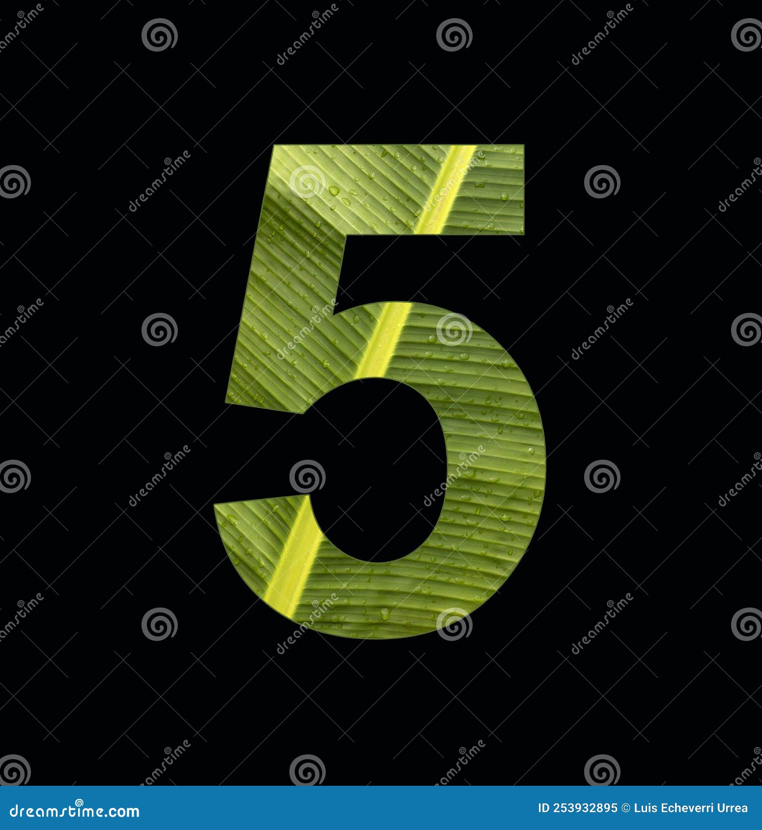 Number 5 - Digit Five on Banana Plant Leaf Background Stock Image ...