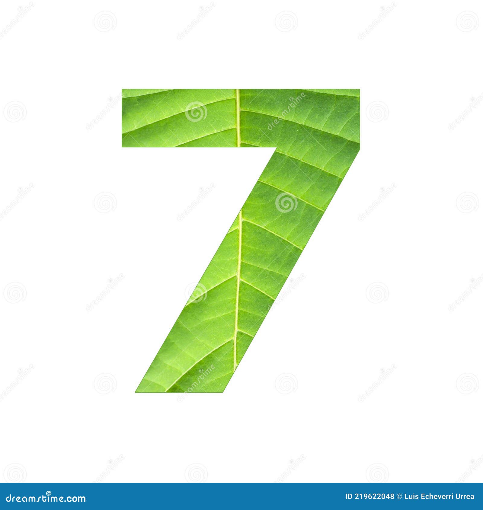 Number Digit Seven - Tropical Green Leaf Texture Stock Photo - Image of ...