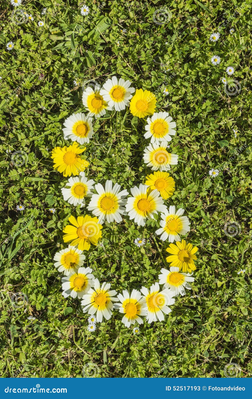 Number Eight from Flower Numbers Stock Image - Image of flower, text ...