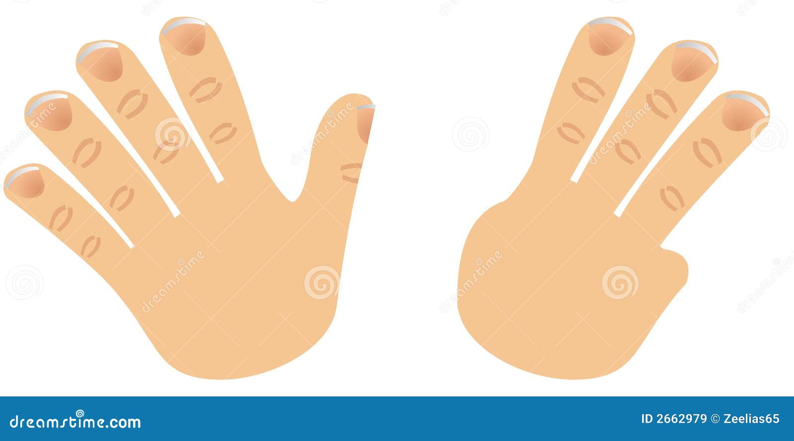 Eight Fingers Clipart