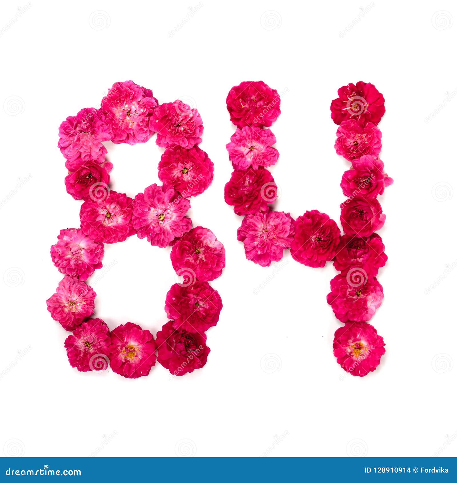 Number 84 from Flowers of a Red and Pink Rose on a White Background ...