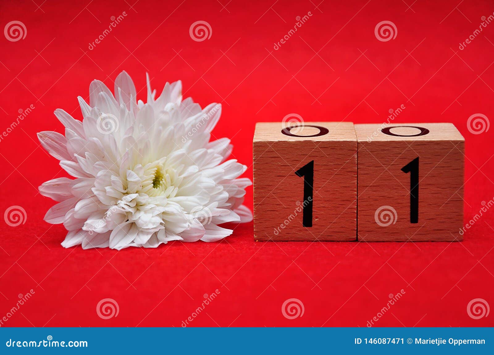 Number 2 Of The Daisy Flower On A Gray Background Royalty-Free Stock ...