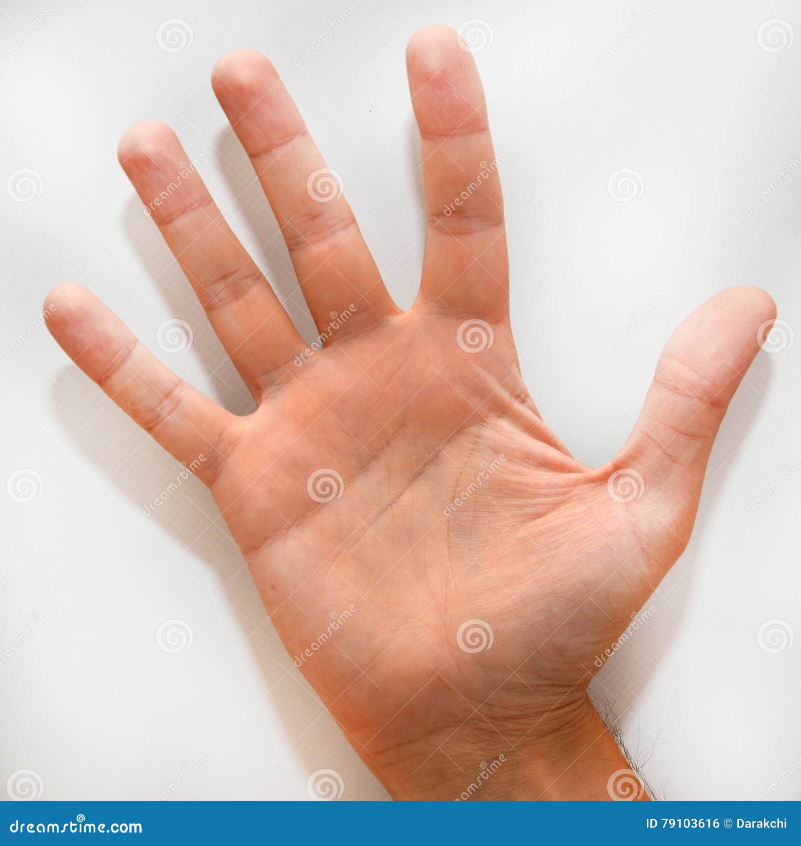 Number Five in the American Sign Language (ASL) Stock Photo - Image of ...