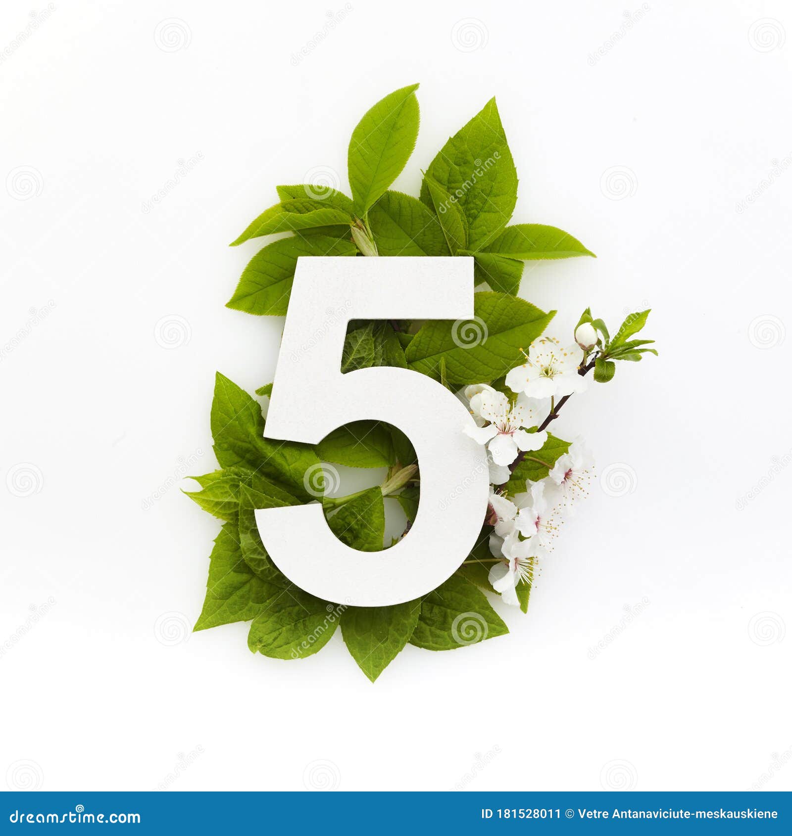 Number Five with Green Leaves. Minimal Summer Concept. Flat Lay. Stock ...