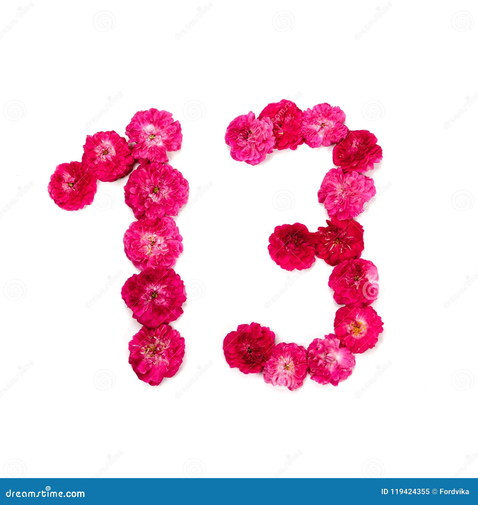Number 13 from Flowers of a Red and Pink Rose on a White Background ...