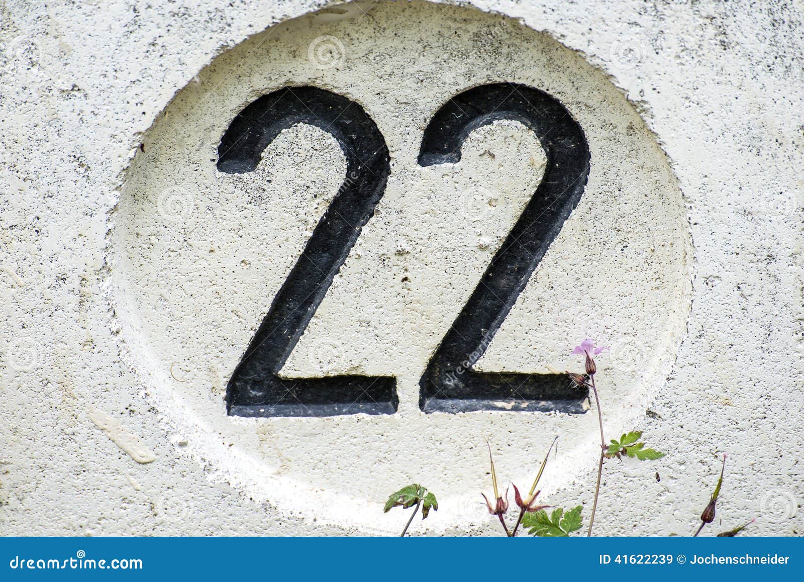 Number 22 stock image. Image of flowers, object, concrete - 41622239