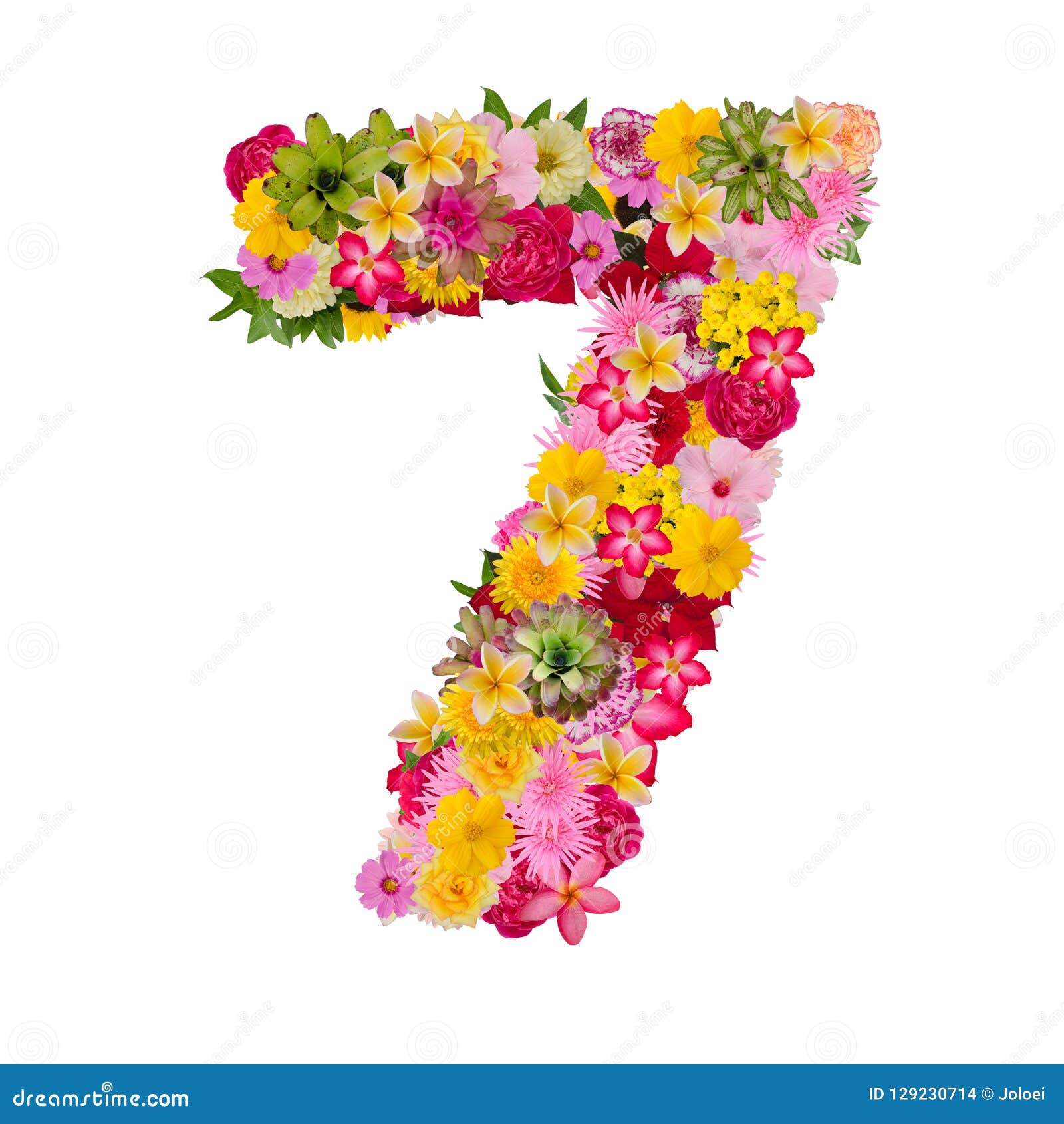 Number 7 Made from Flower Isolated on White Background. Whit Clipping ...