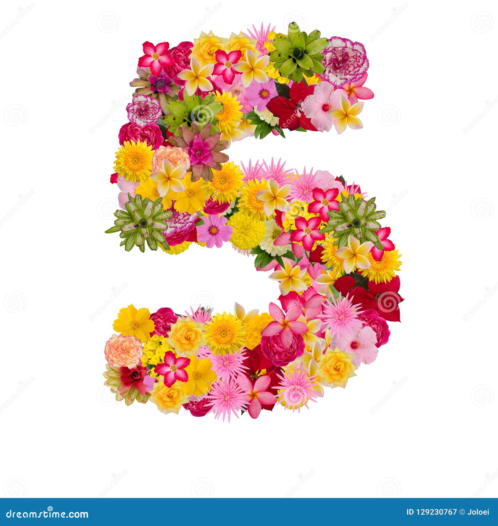 Number 5 Made from Flower Isolated on White Background. Whit Clipping ...
