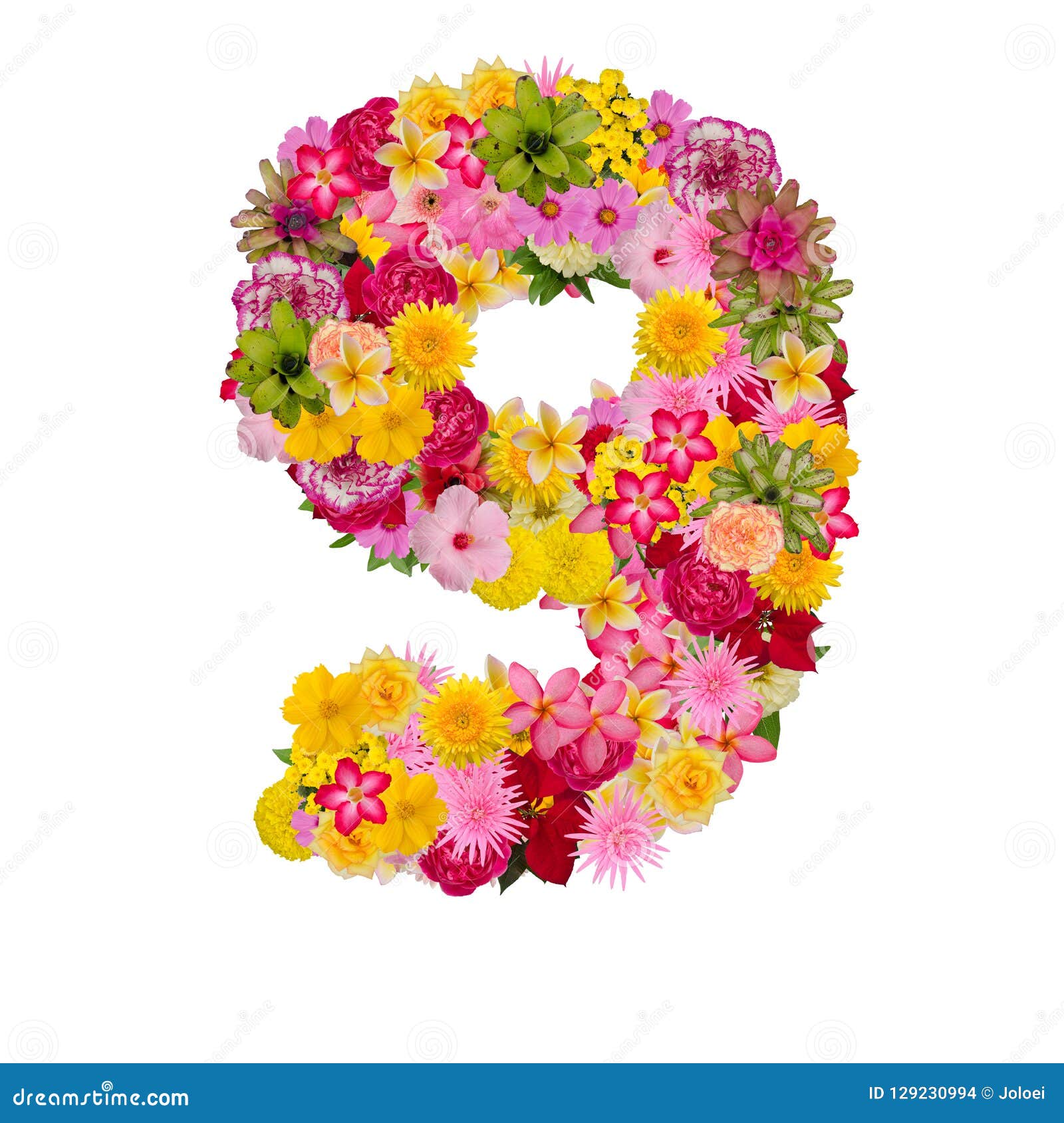 Number 9 Made from Flower Isolated on White Background. Whit Clipping ...