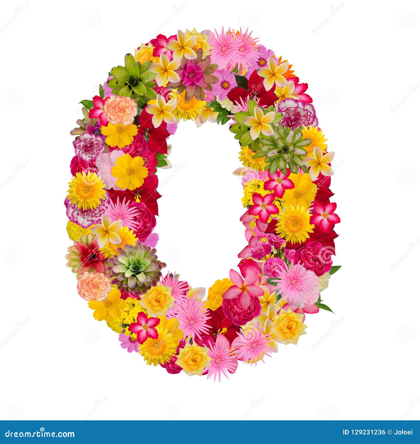 Number 0 Made from Flower Isolated on White Background. Whit Clipping ...