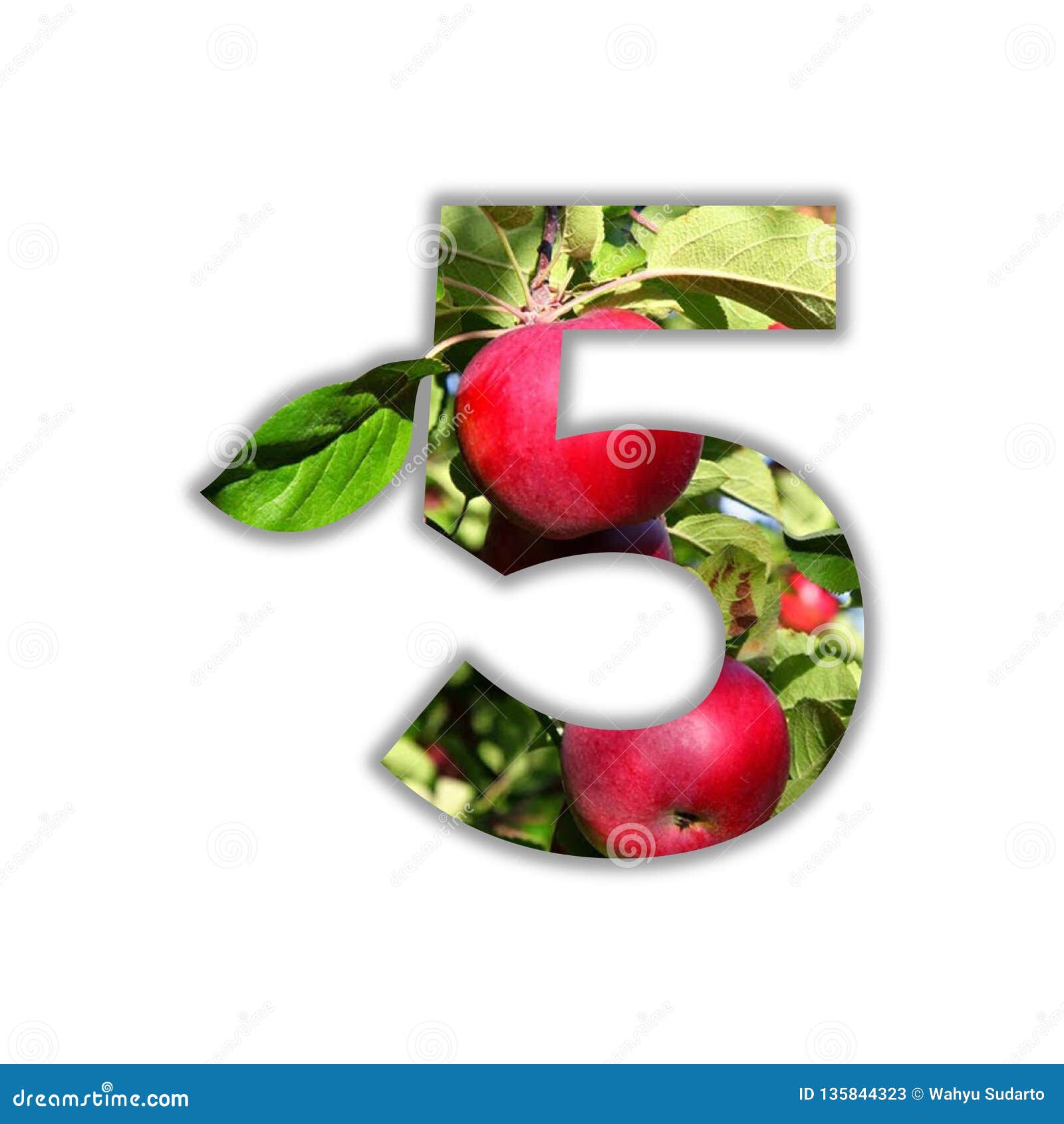 Number 5 Made of Fresh Fruit Stock Image - Image of health, natural ...