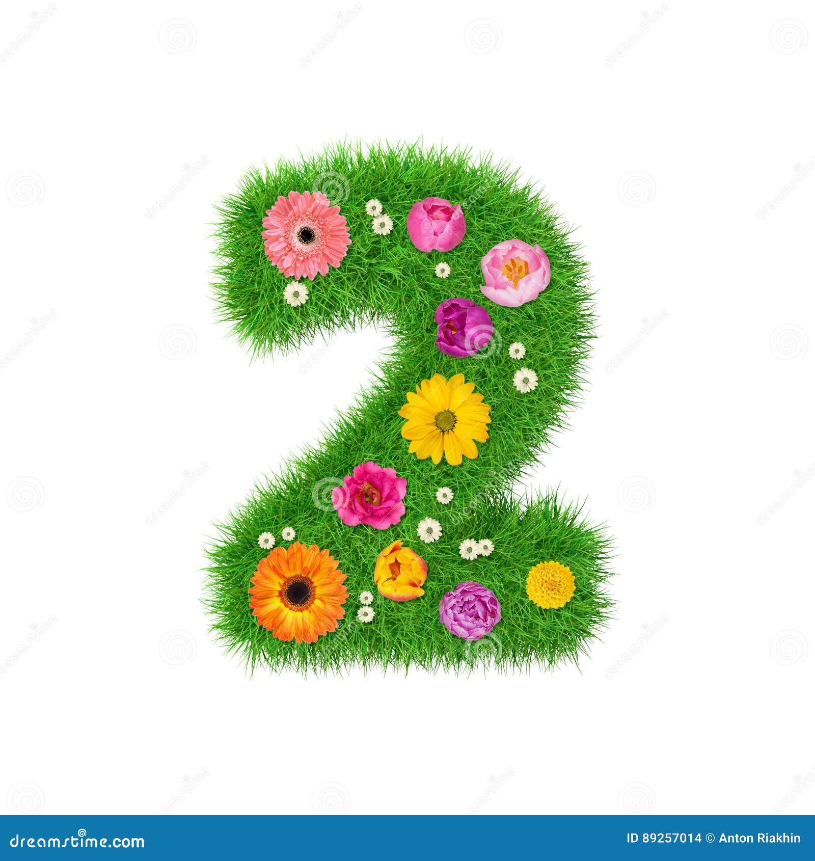 Number 2 Made of Grass and Colorful Flowers, Spring Concept for Graphic ...