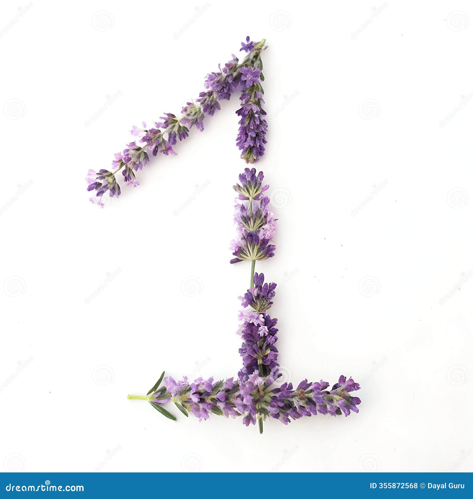 Number 1 Made with Lavender Flowers Isolated on White Background Stock ...