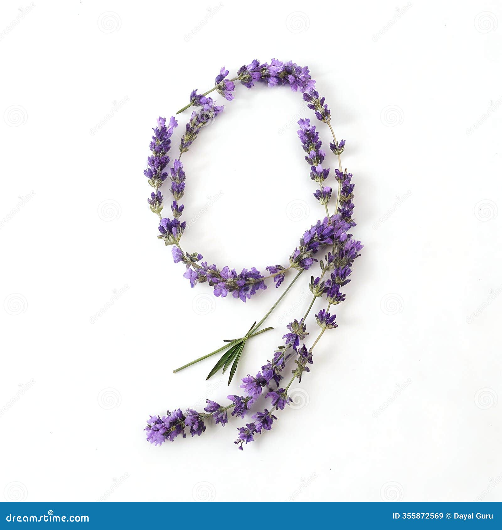 Number 9 Made with Lavender Flowers Isolated on White Background Stock ...