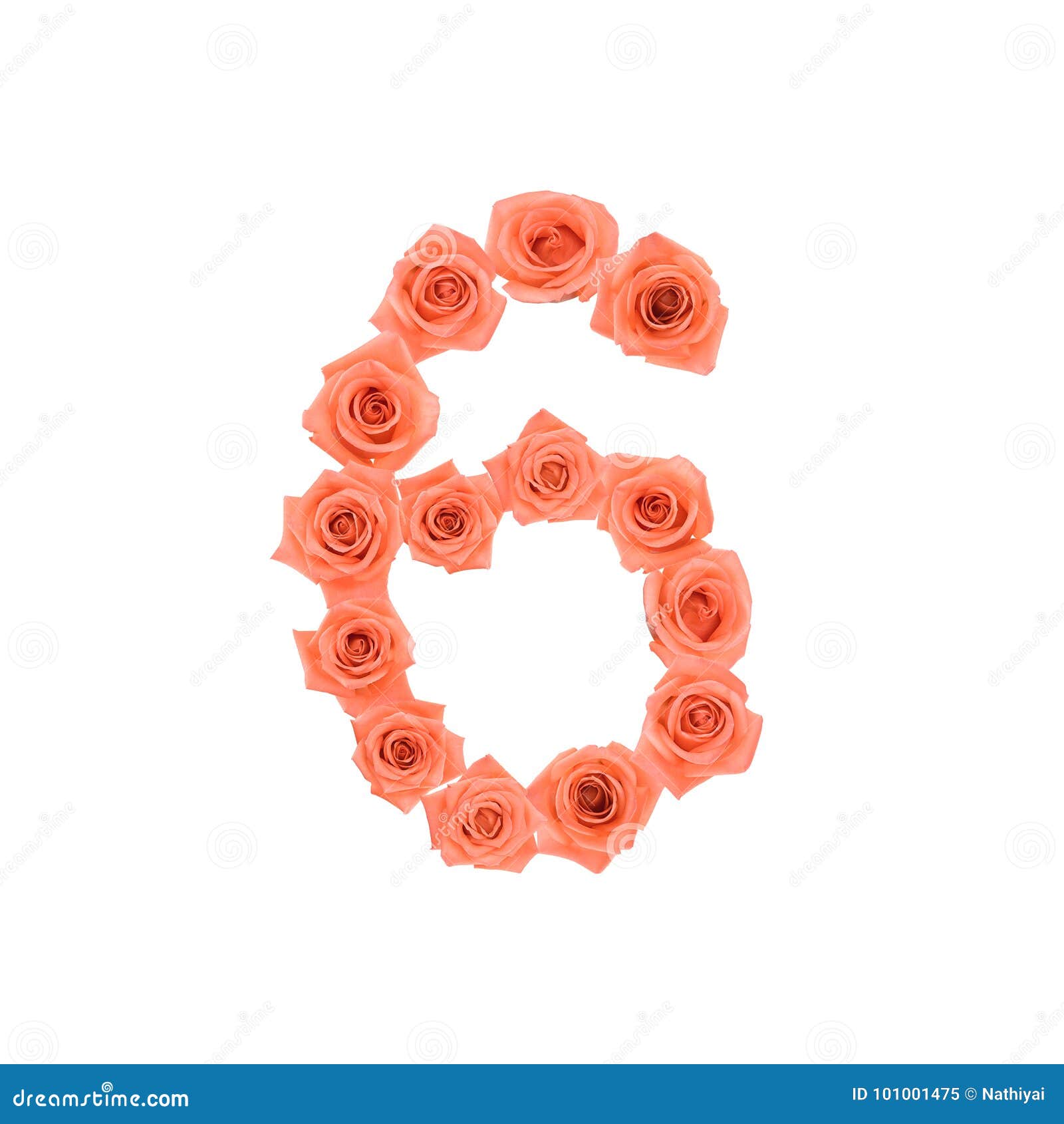 Number 6 Made from Orange Roses Stock Image - Image of beauty, element ...