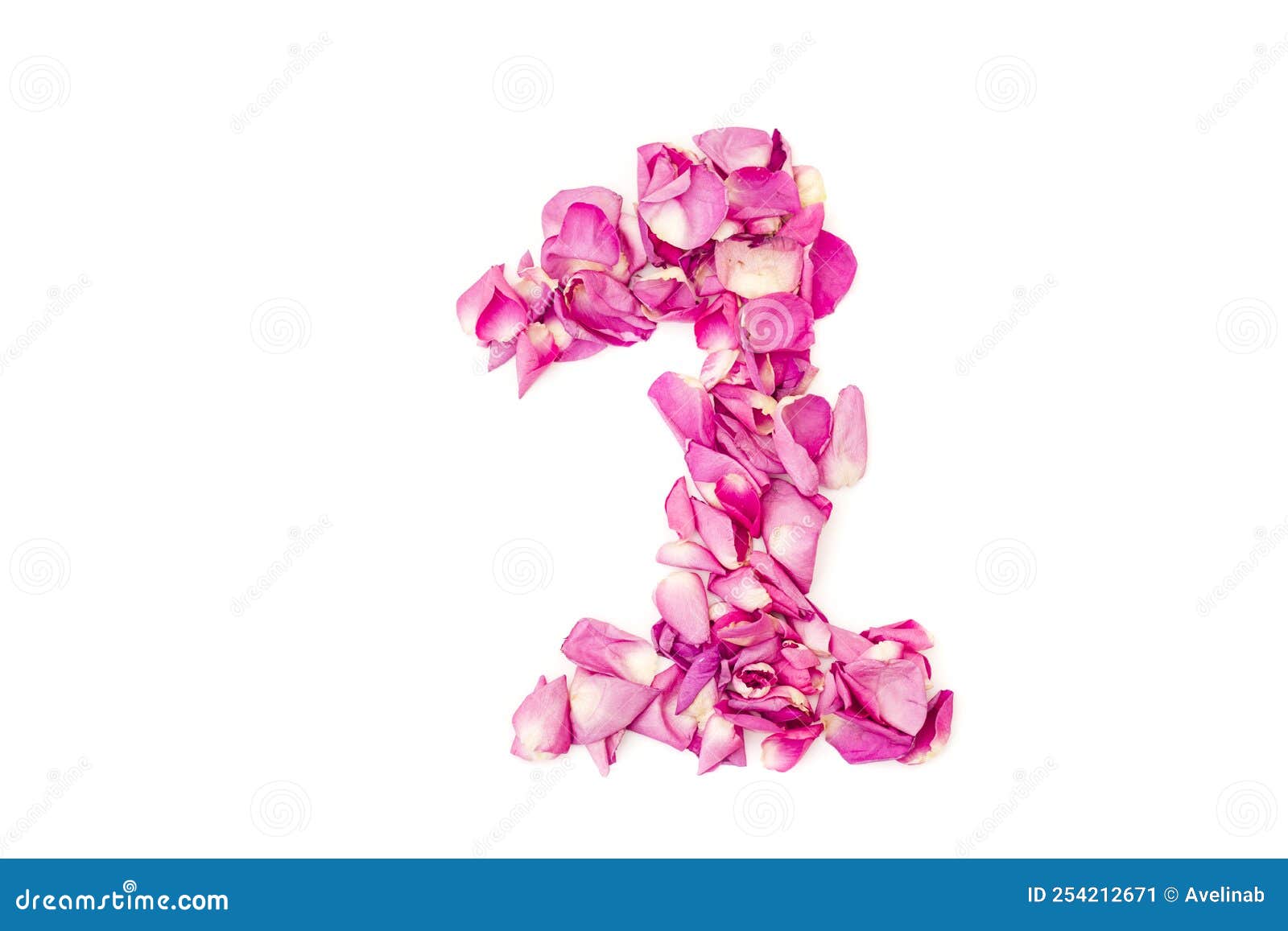 Number 1 Made from Pink Petals Rose. Pink Roses. Element for Decoration ...