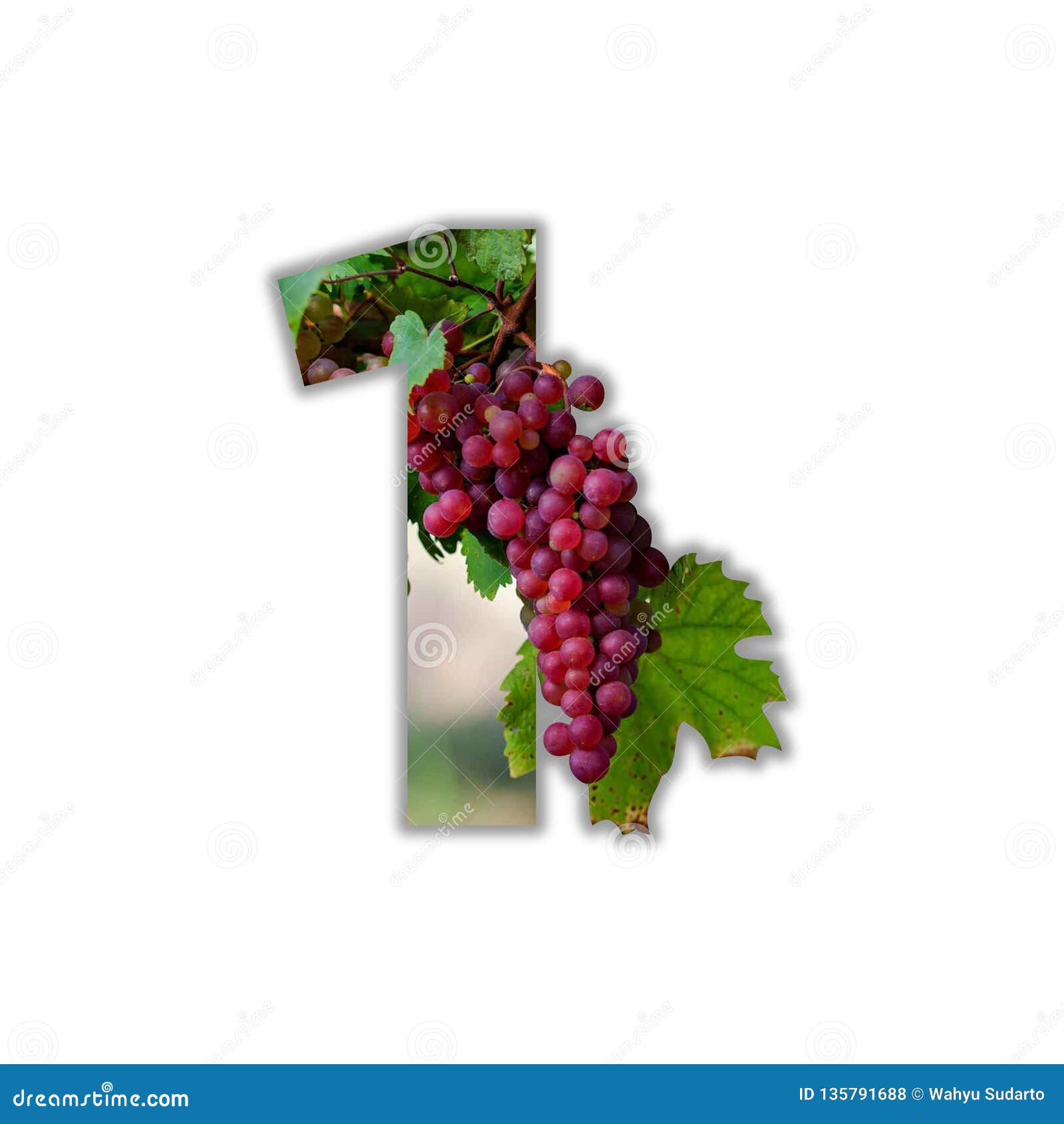 Number 1 Made of Real Grapes Stock Photo - Image of education, number ...