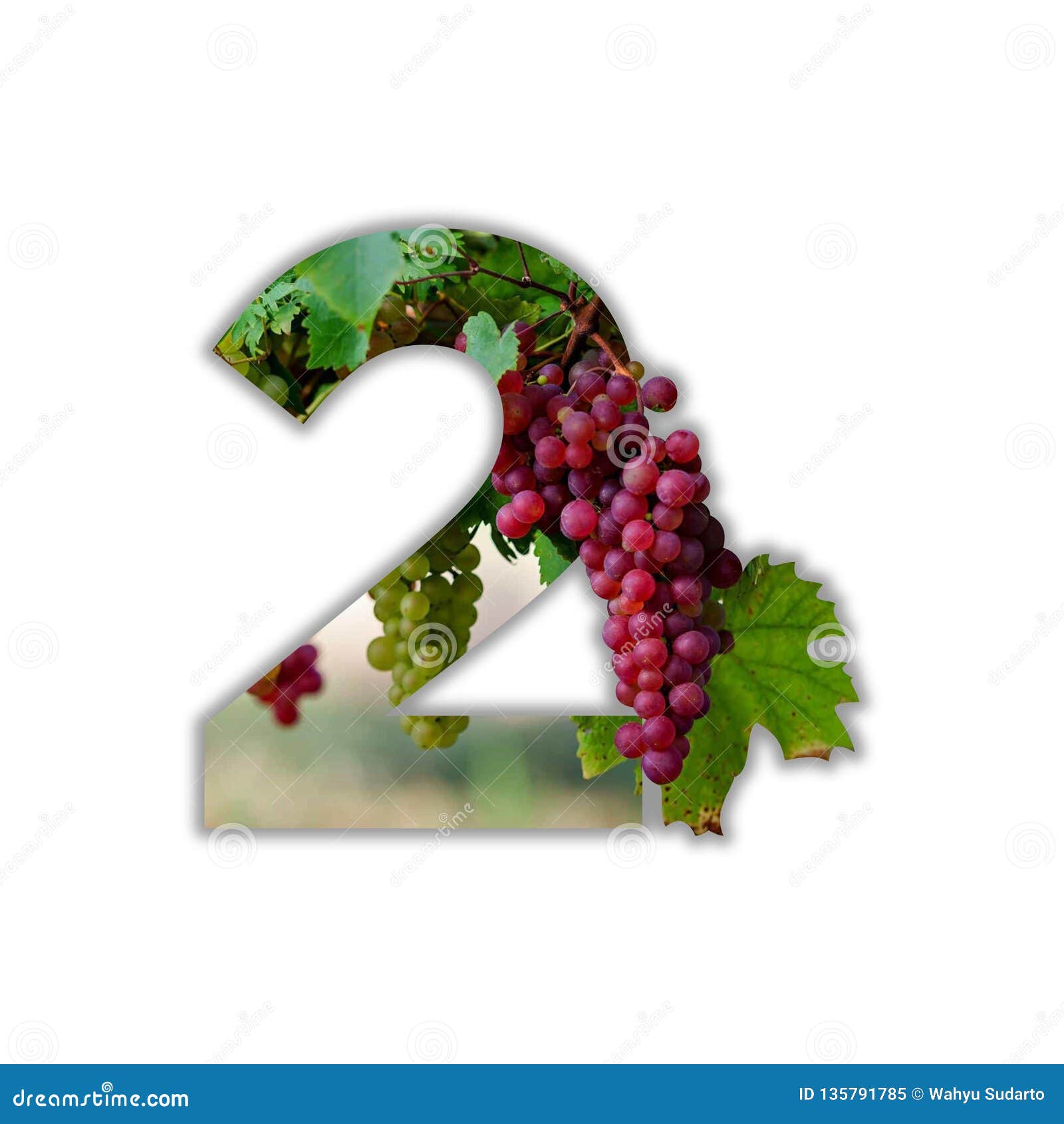 Royalty Free Images, Cartoons, Illustrations And Photos Designed By ...