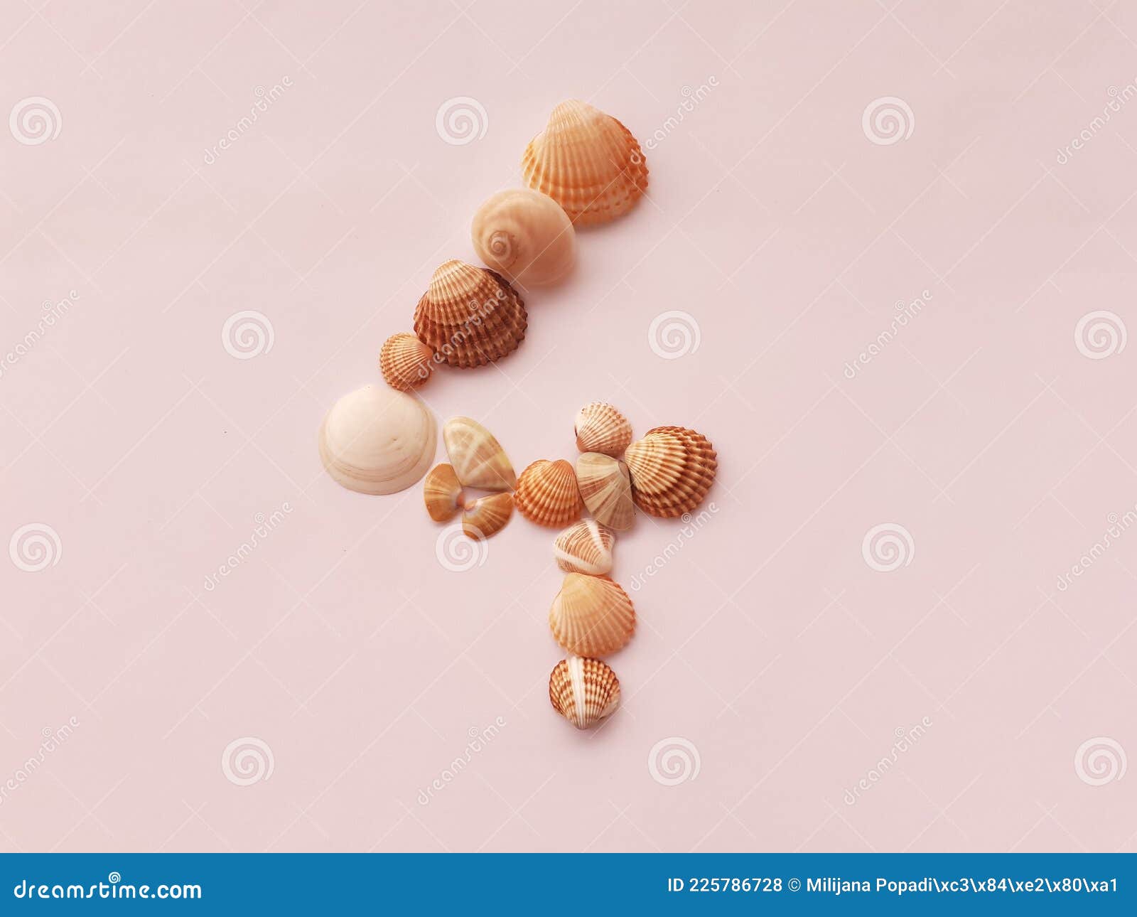 Number made of shells stock photo. Image of white, number - 225786728