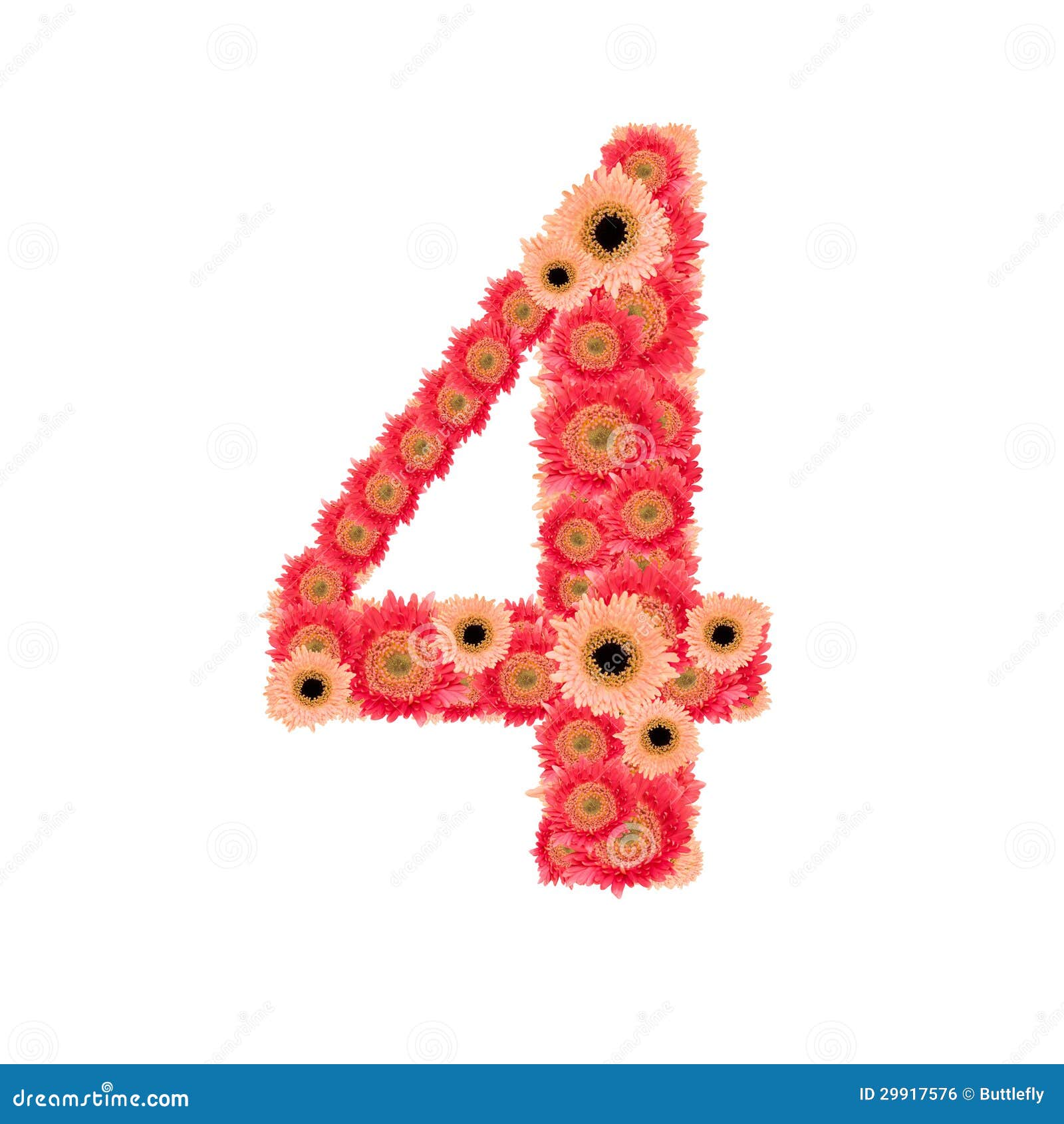 Number 4 stock photo. Image of daisies, petal, color - 29917576