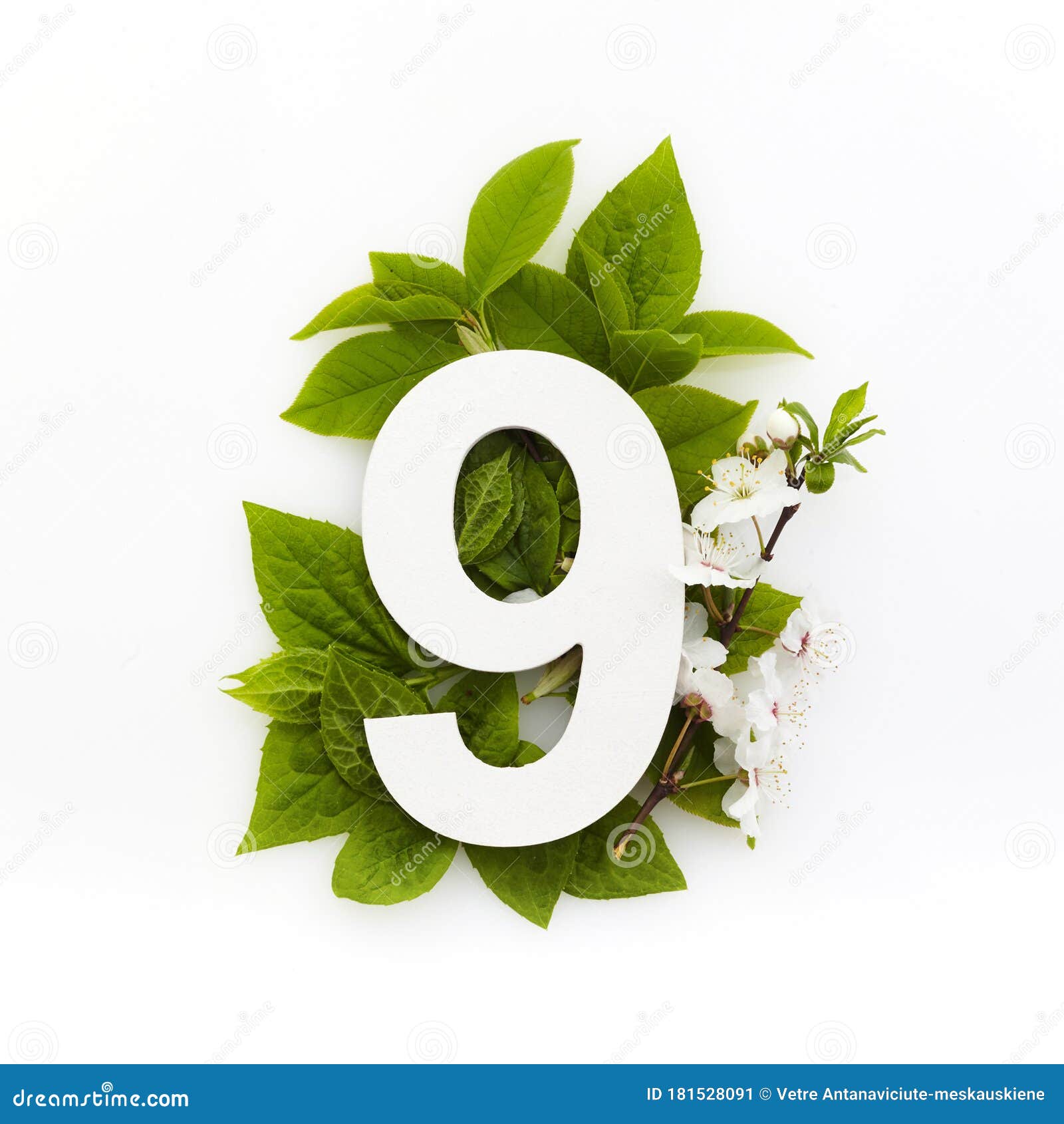 Number Nine with Green Leaves. Minimal Summer Concept. Flat Lay. Stock ...